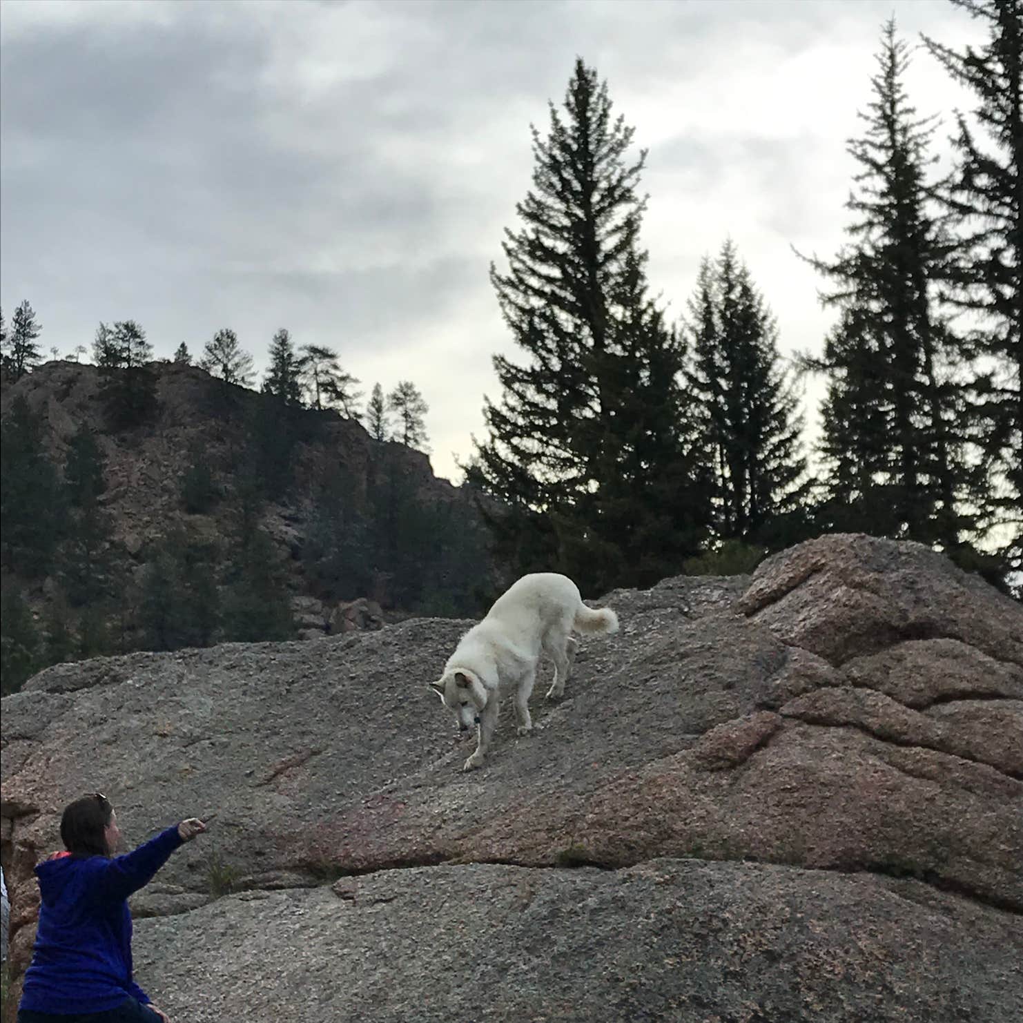 Spruce Grove Campground Camping | The Dyrt