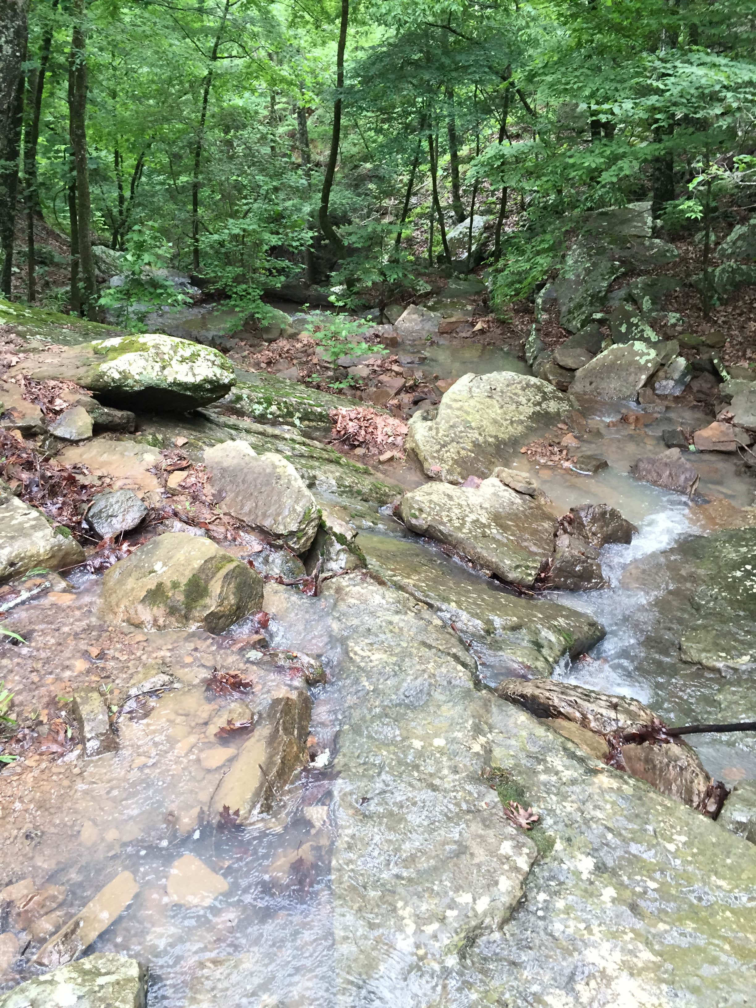 Eagles Point — Tenkiller State Park Camping | Monroe Lake, OK