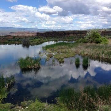 Quincy Lake Camping | Quincy, Washington
