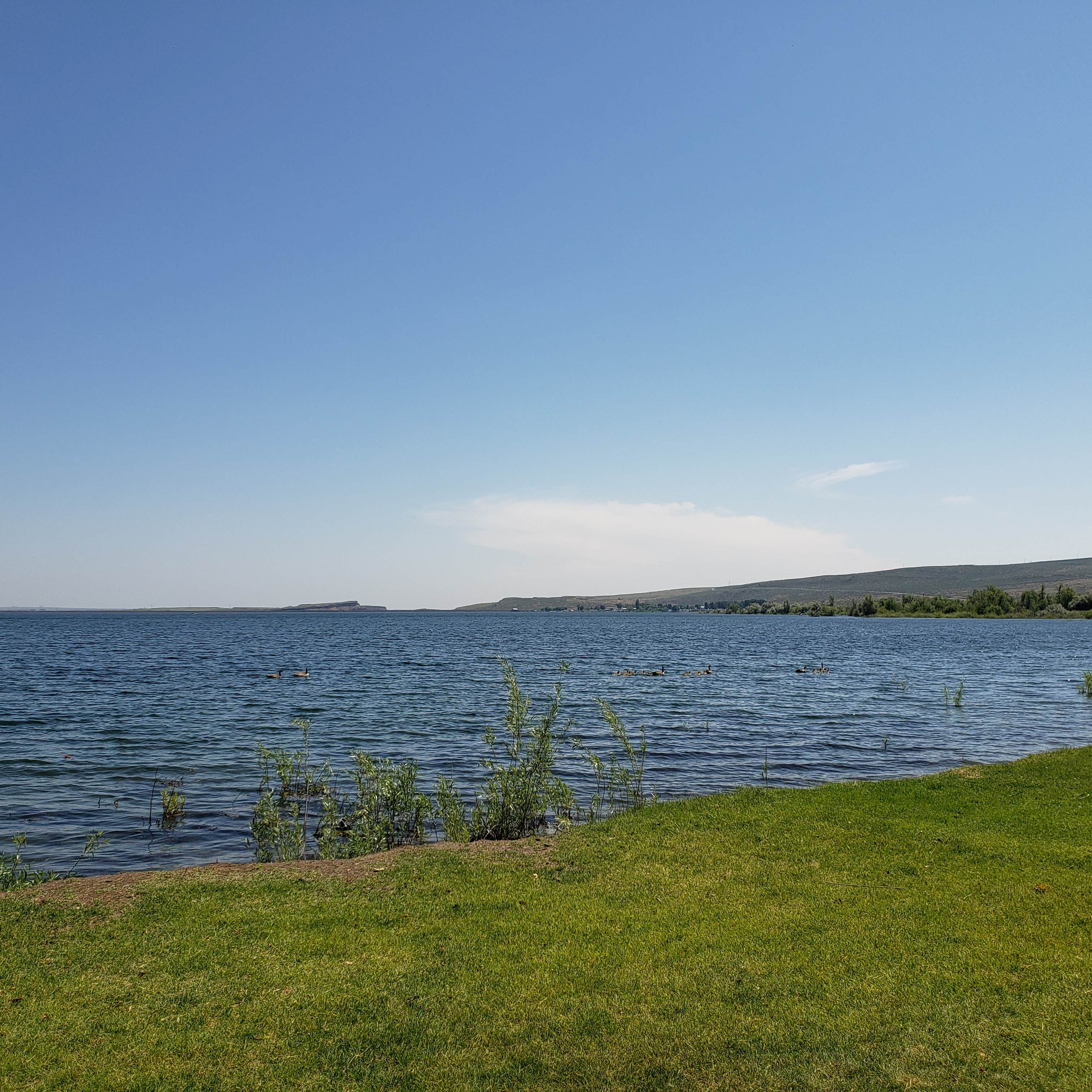 Potholes State Park Camping | The Dyrt