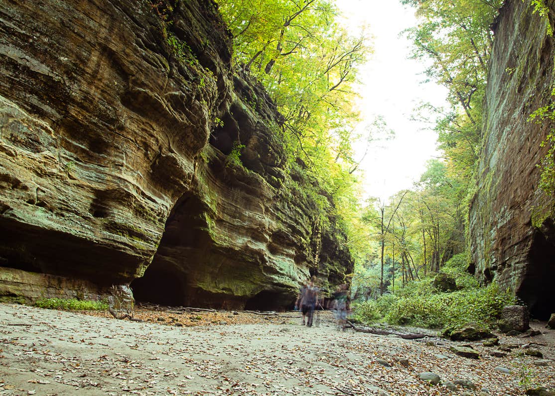 Starved Rock State Park Campground Camping | The Dyrt