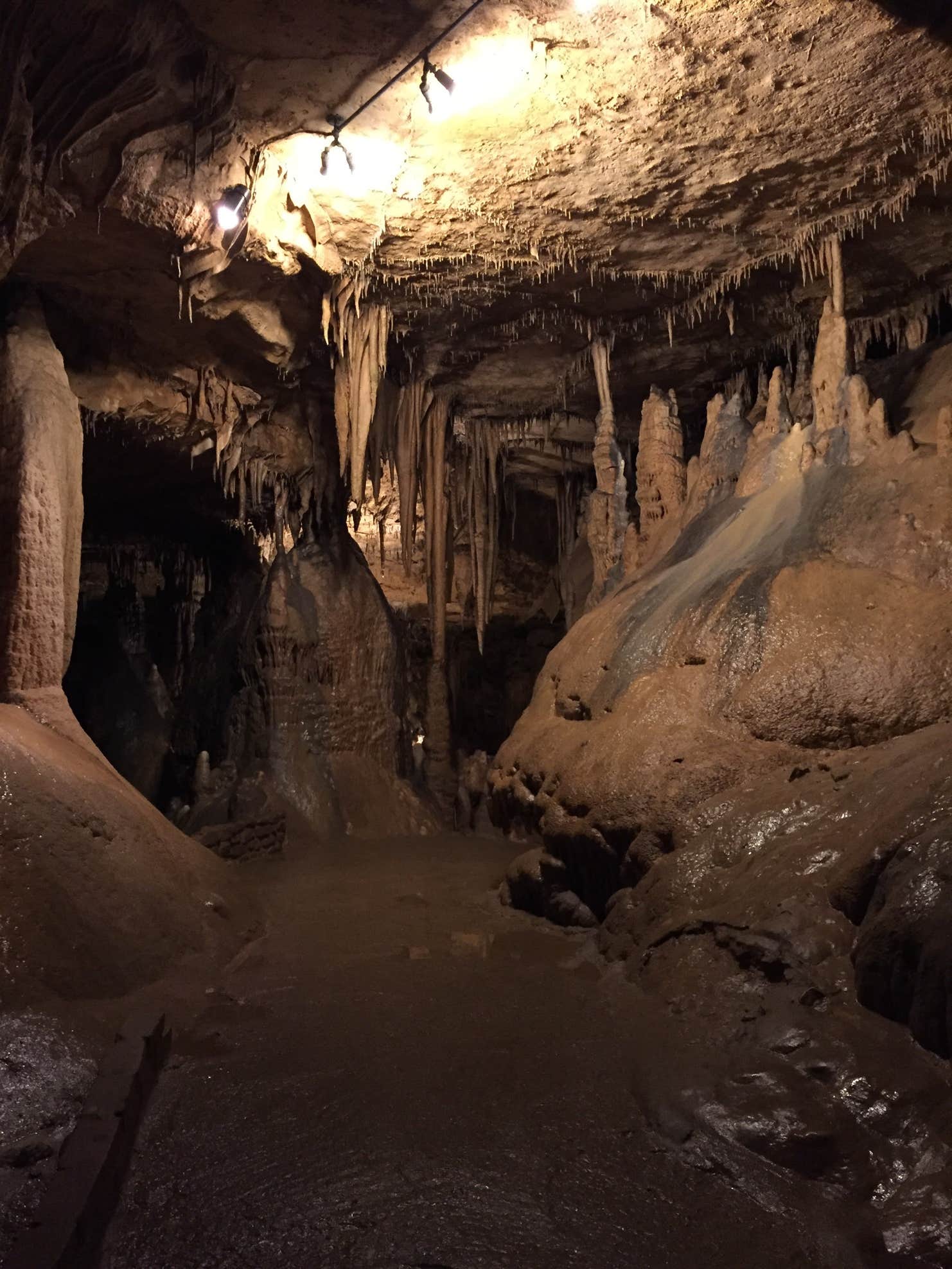 Marengo Cave Campgrounds | The Dyrt