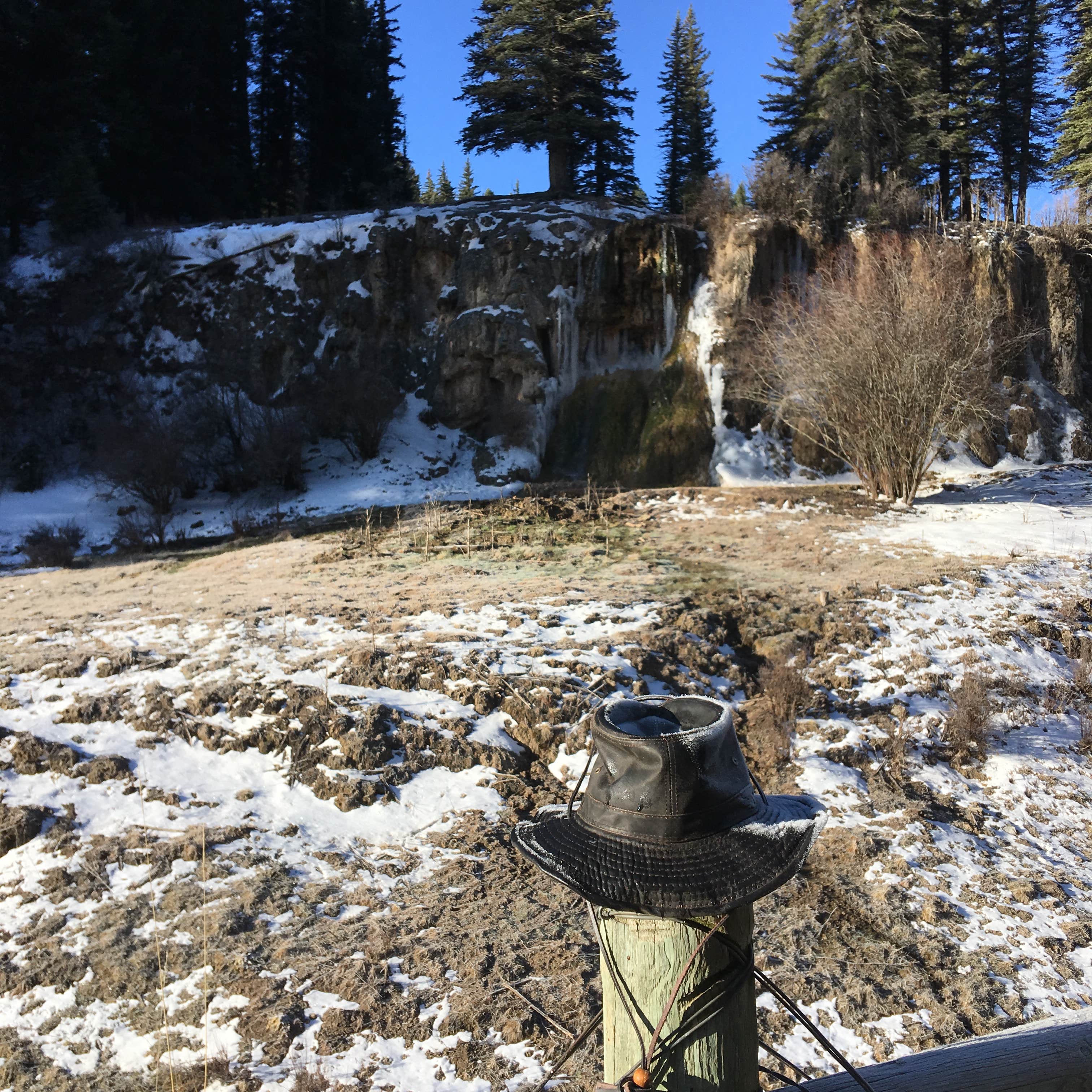 Bluff Springs Dispersed Camping Camping | The Dyrt