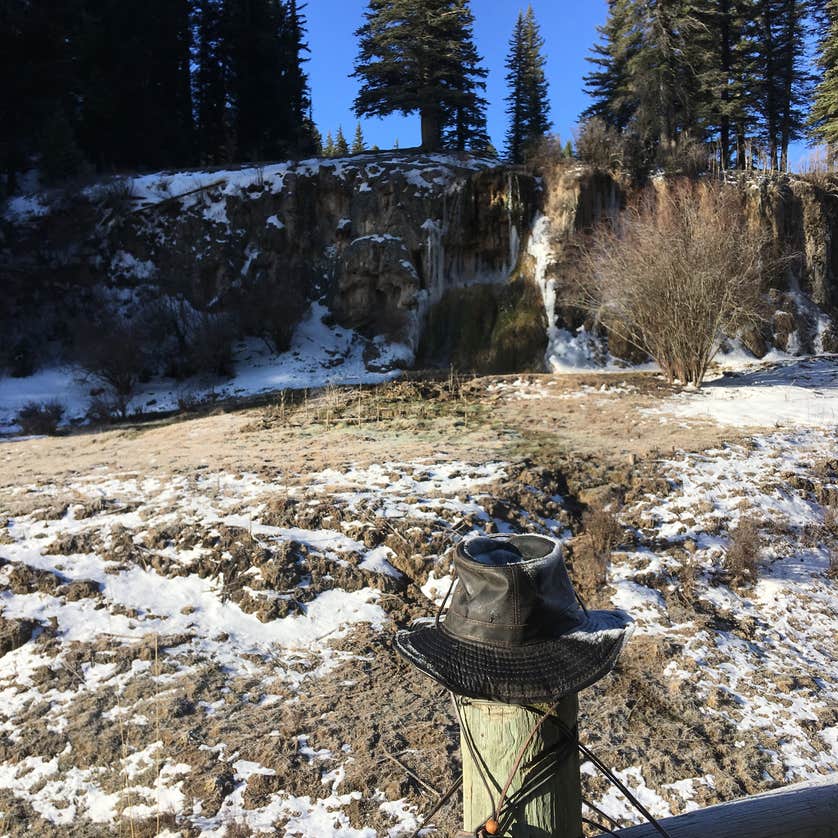 Bluff Springs Dispersed Camping Camping | Cloudcroft, NM | The Dyrt