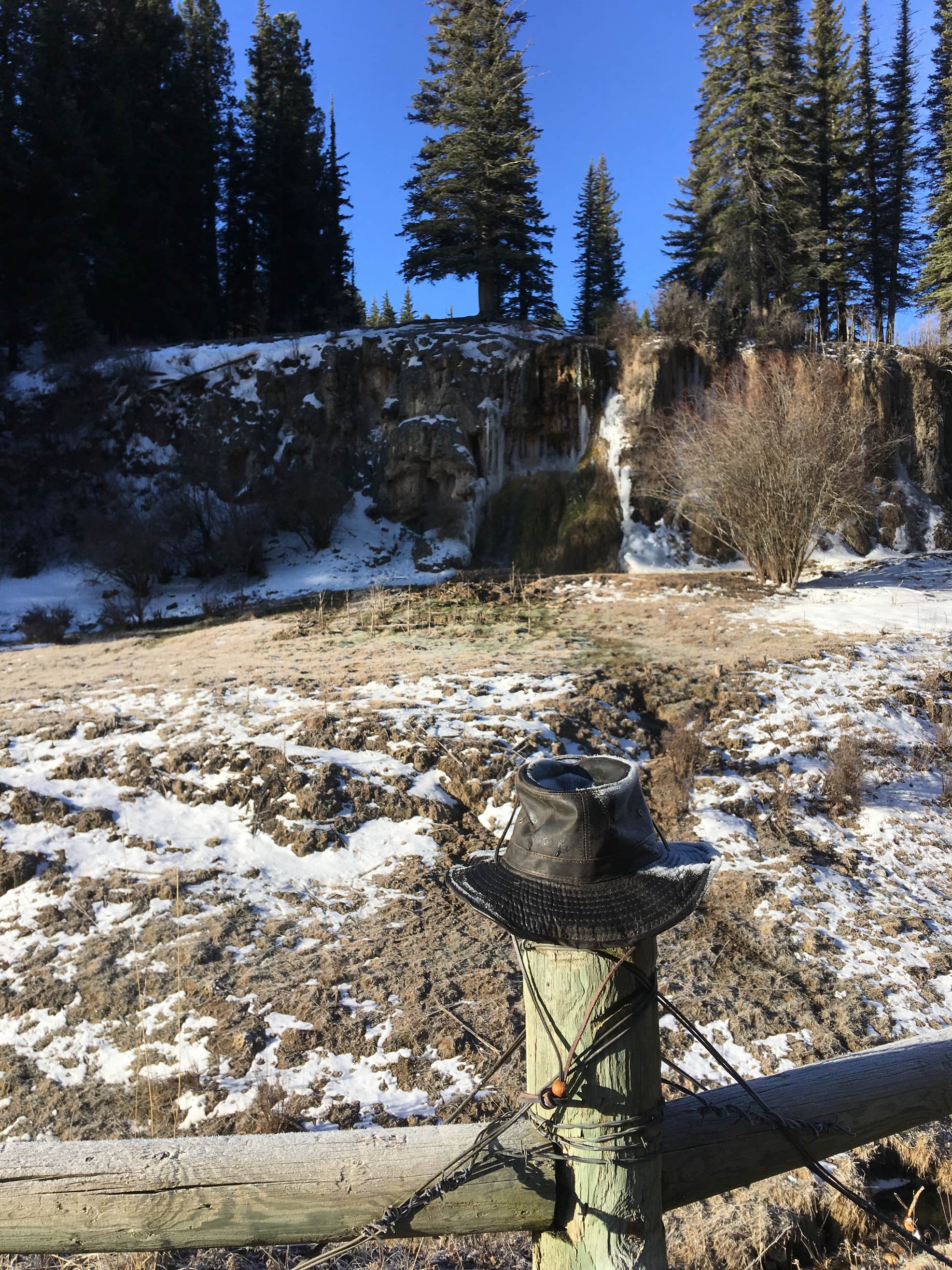 Bluff Springs Dispersed Camping Camping | The Dyrt