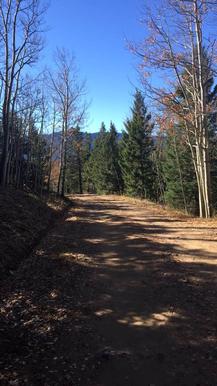 Mingus Ranch Camping | Canon city, CO