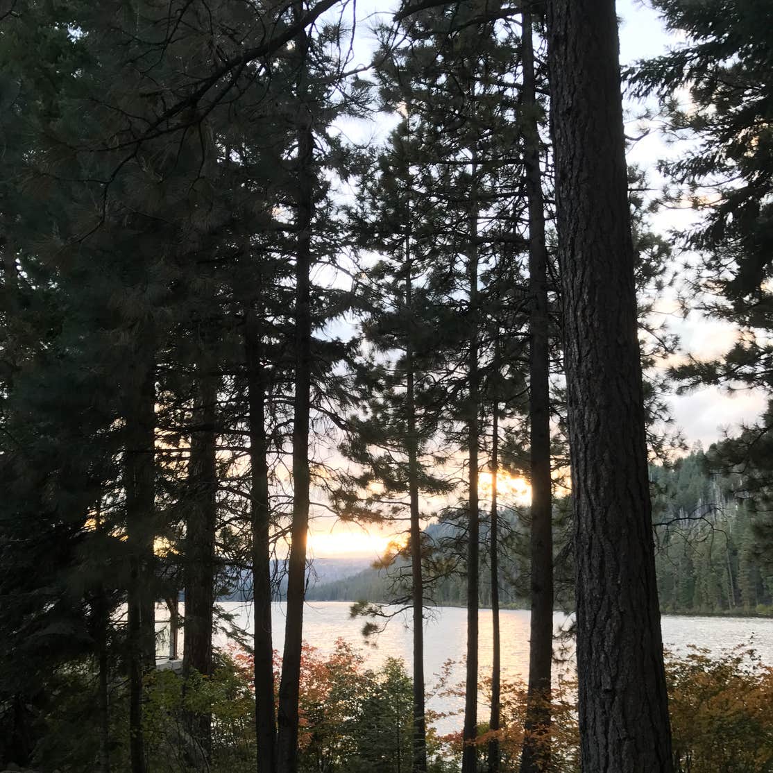 Link Creek Camping | Camp Sherman, Oregon