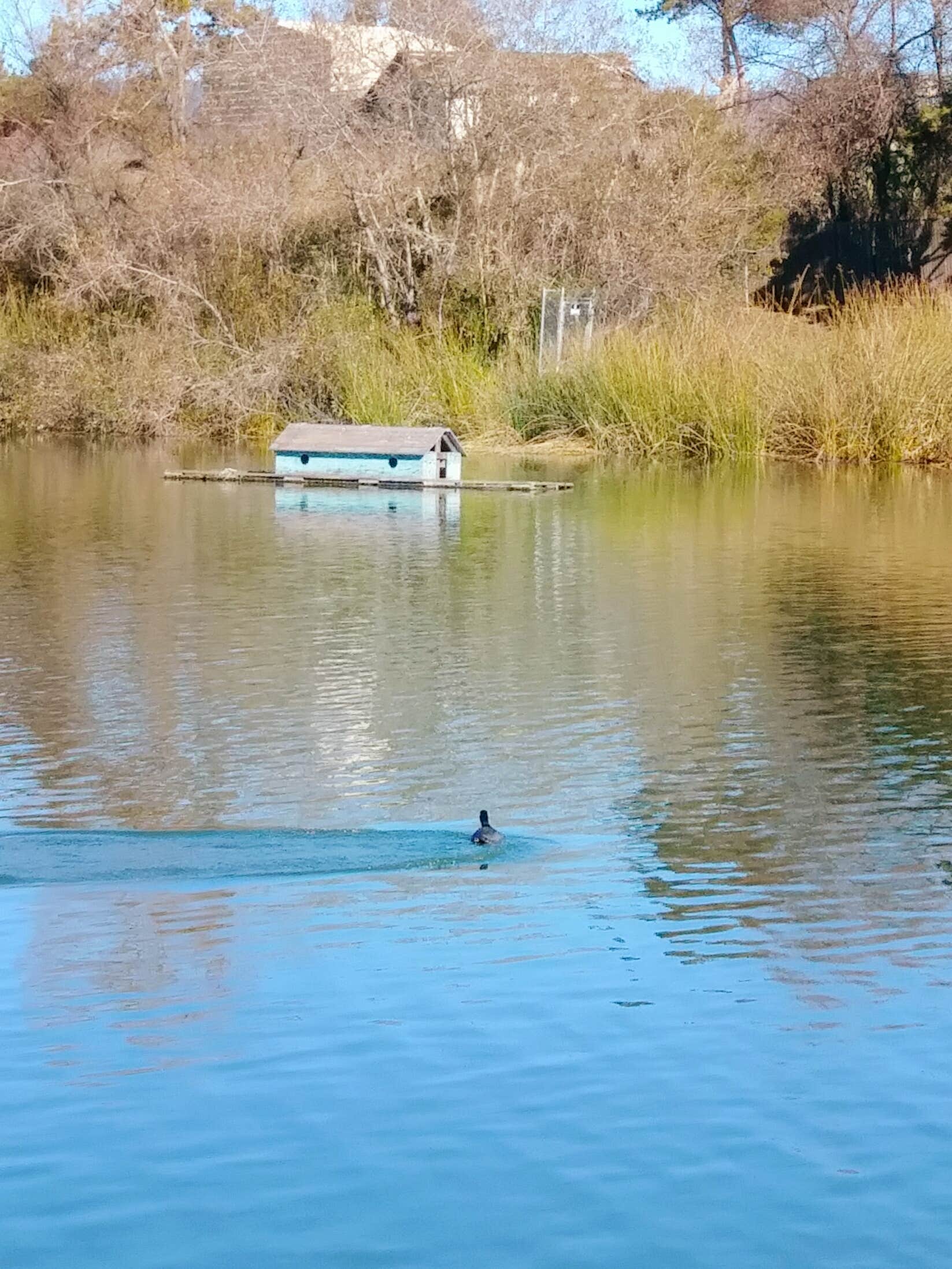 Pinto Lake City Park Camping | Watsonville, CA