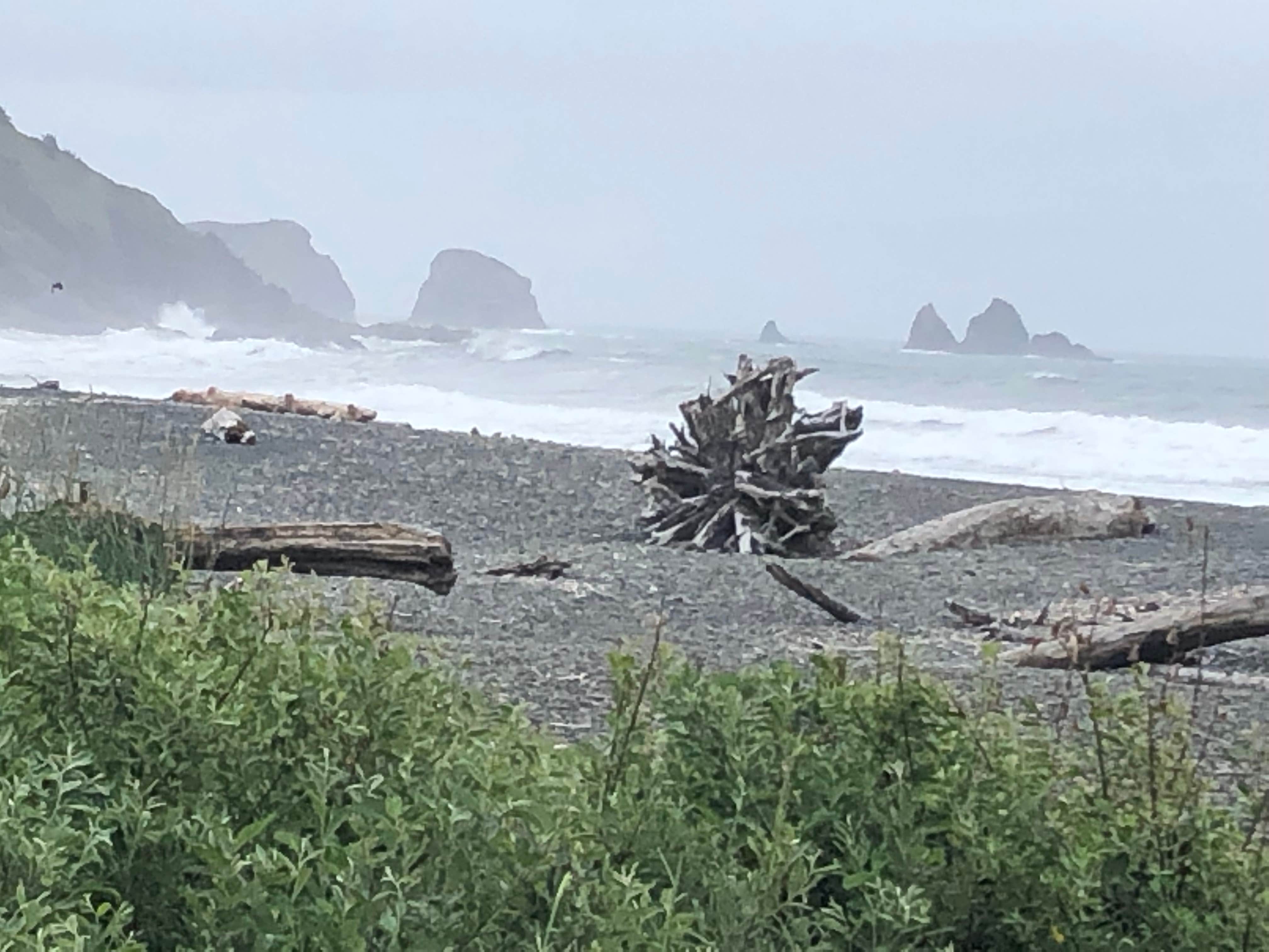 Quileute Oceanside Resort Camping | La Push, WA | The Dyrt