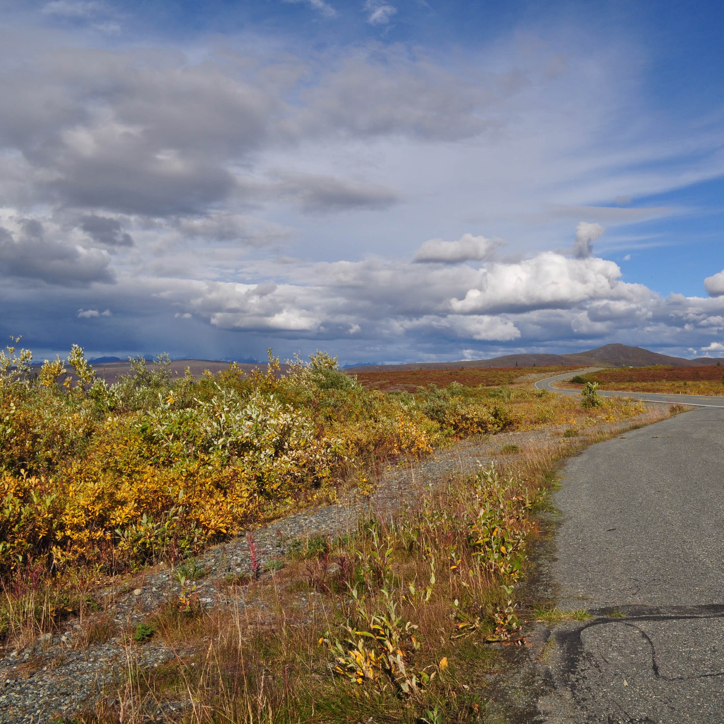 Tangle Lakes Campground Camping | The Dyrt