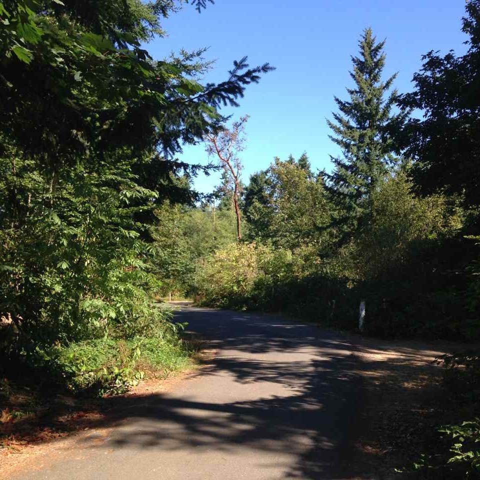 Dash Point State Park Camping | The Dyrt