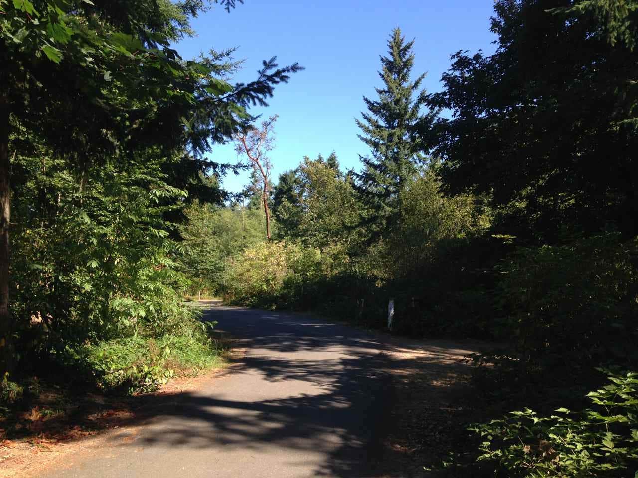 Dash Point State Park Campground | Federal Way, Washington