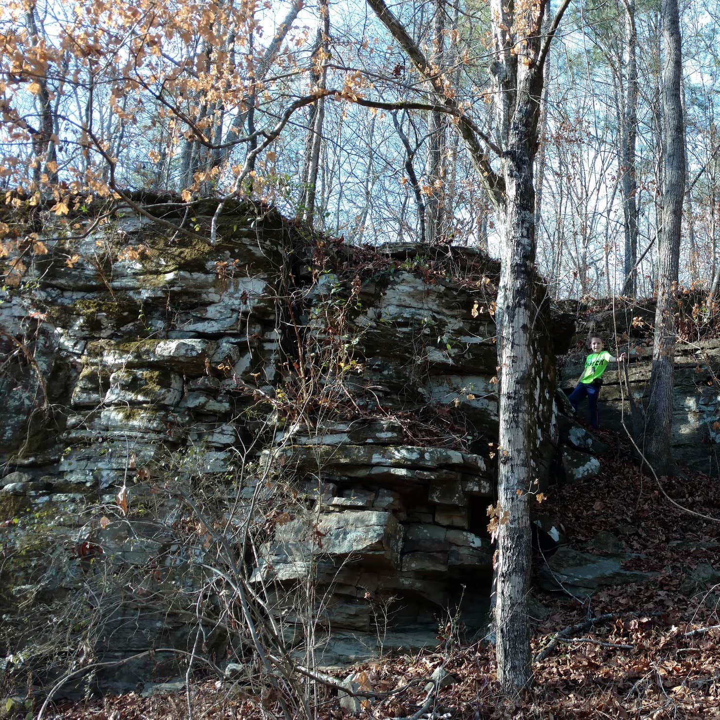 Windrock Campground | Oliver Springs, TN