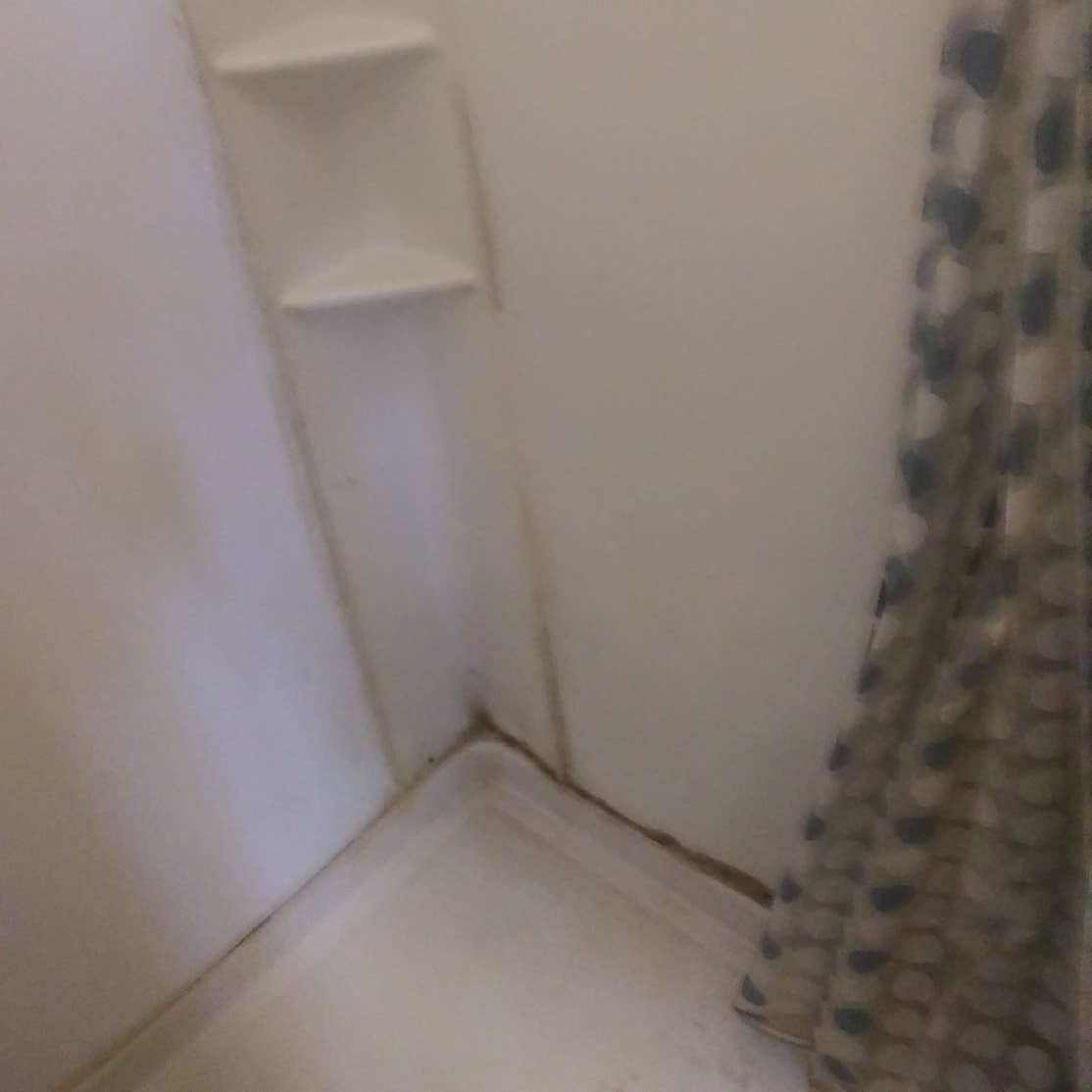 Kit Carson RV Park | Flagstaff, Arizona