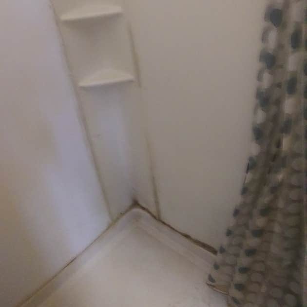 Kit Carson RV Park | Flagstaff, Arizona