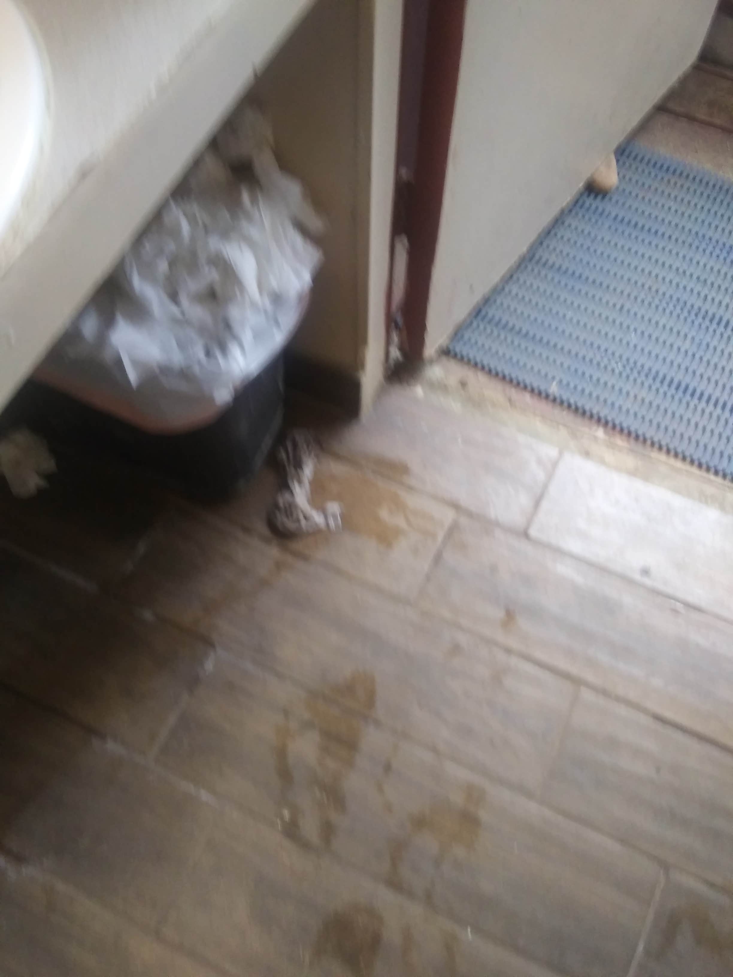 Kit Carson RV Park | Flagstaff, AZ