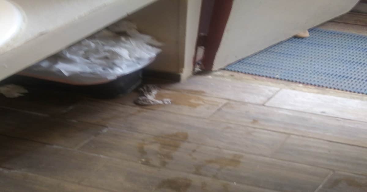 Kit Carson RV Park | The Dyrt