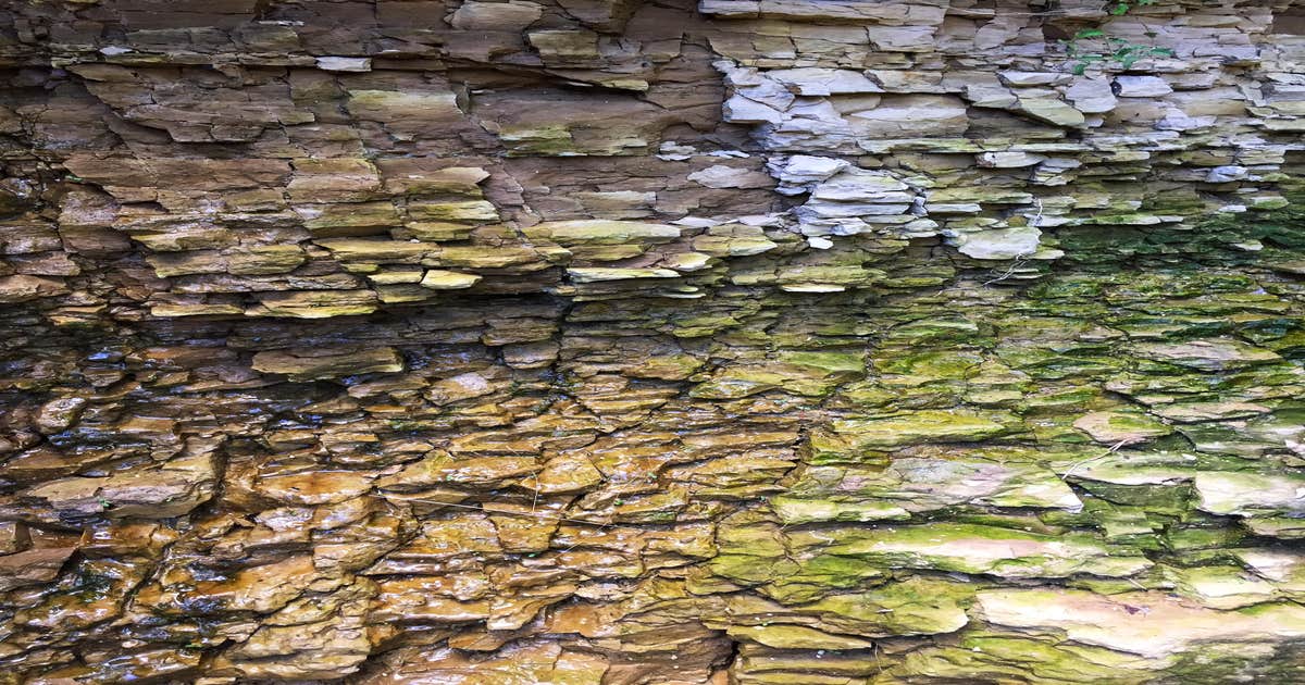 Camper-Submitted Photos of Chase State Fishing Lake