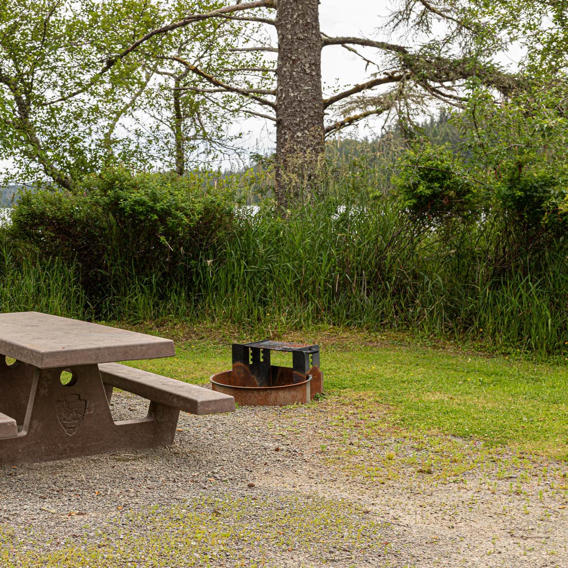 Complete Guide to Camping in Olympic National Park