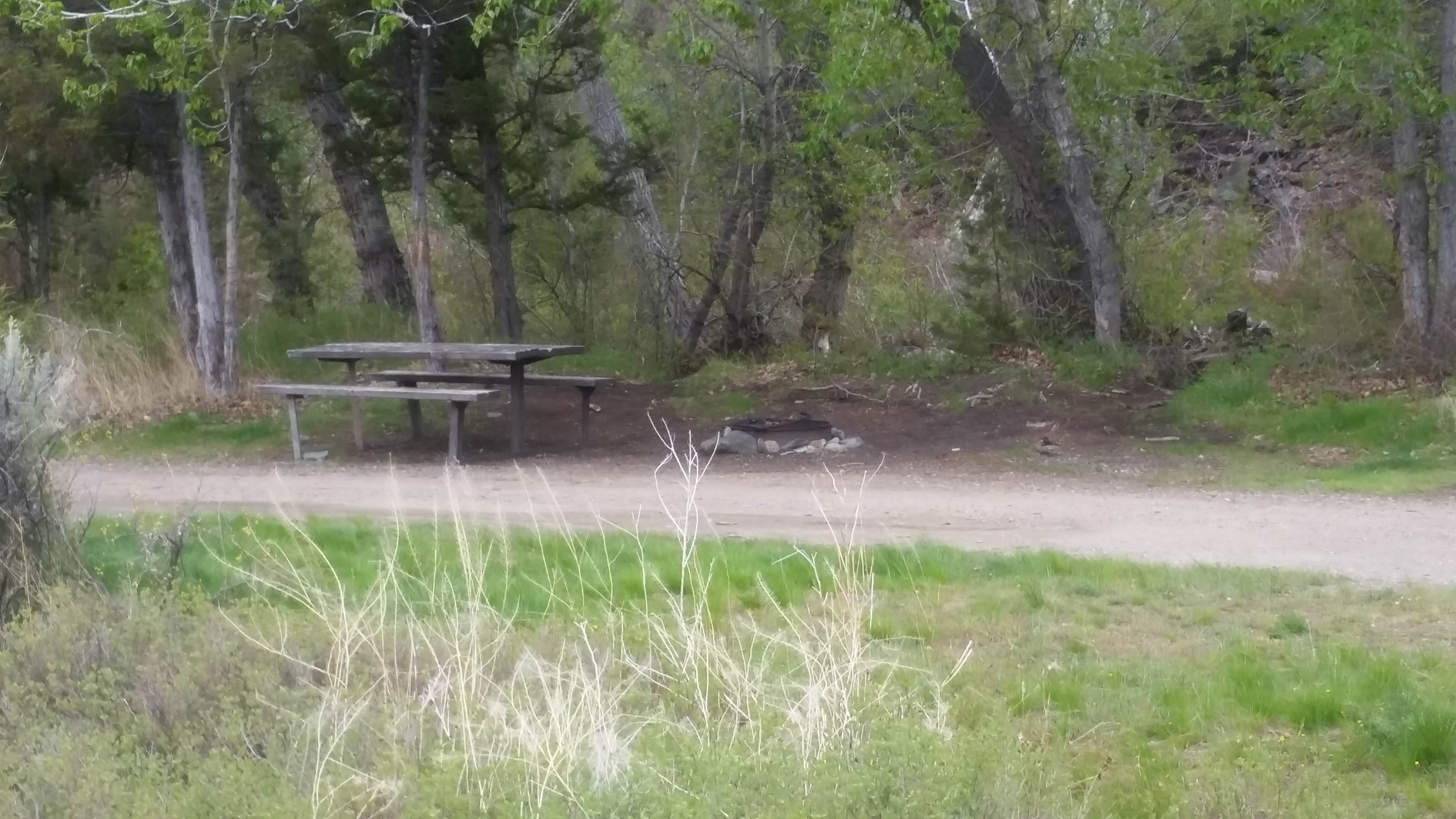 Crow Creek Campground | Radersburg, MT