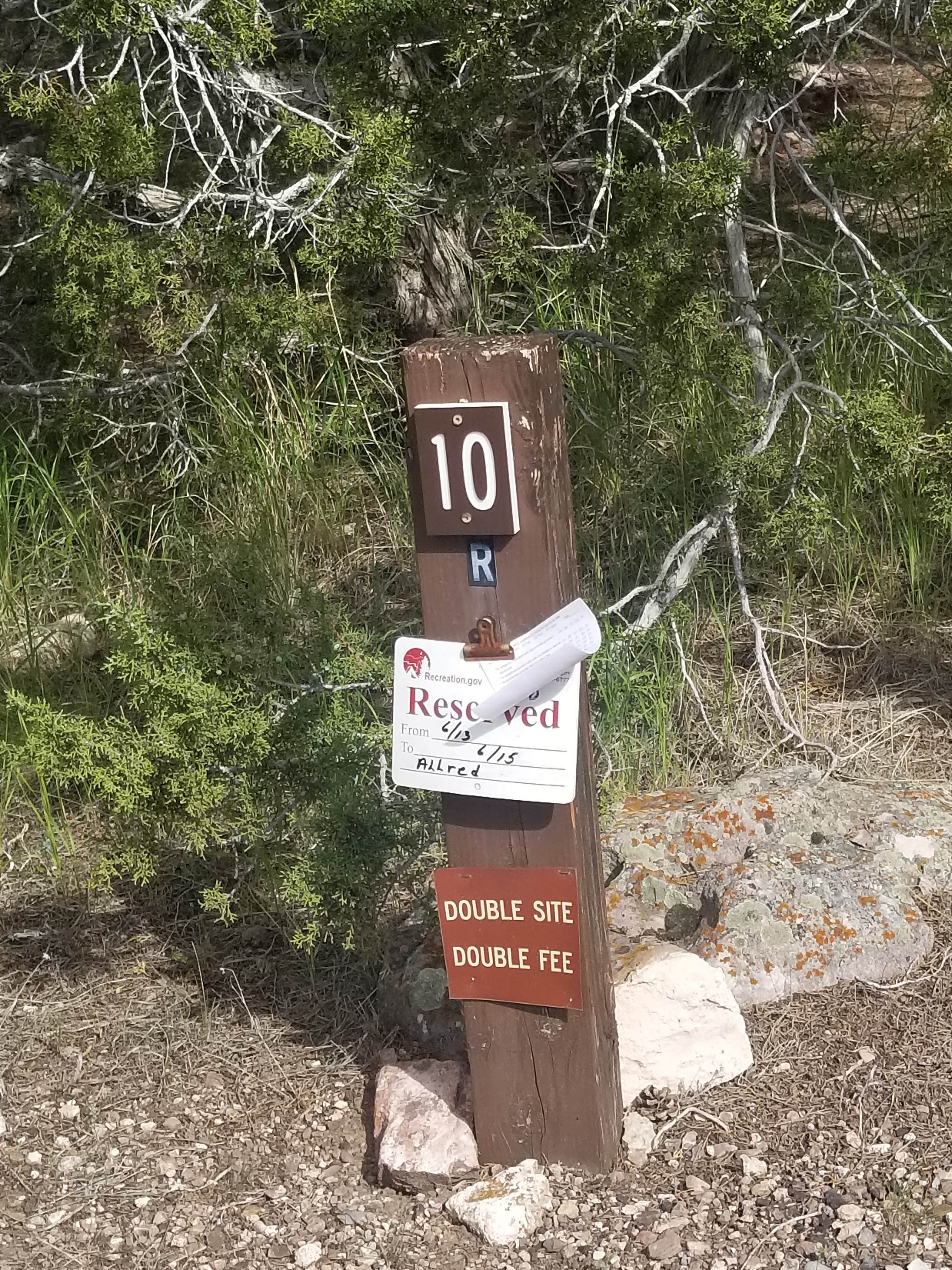 Cedar Springs Campground | Flaming Gorge, Utah