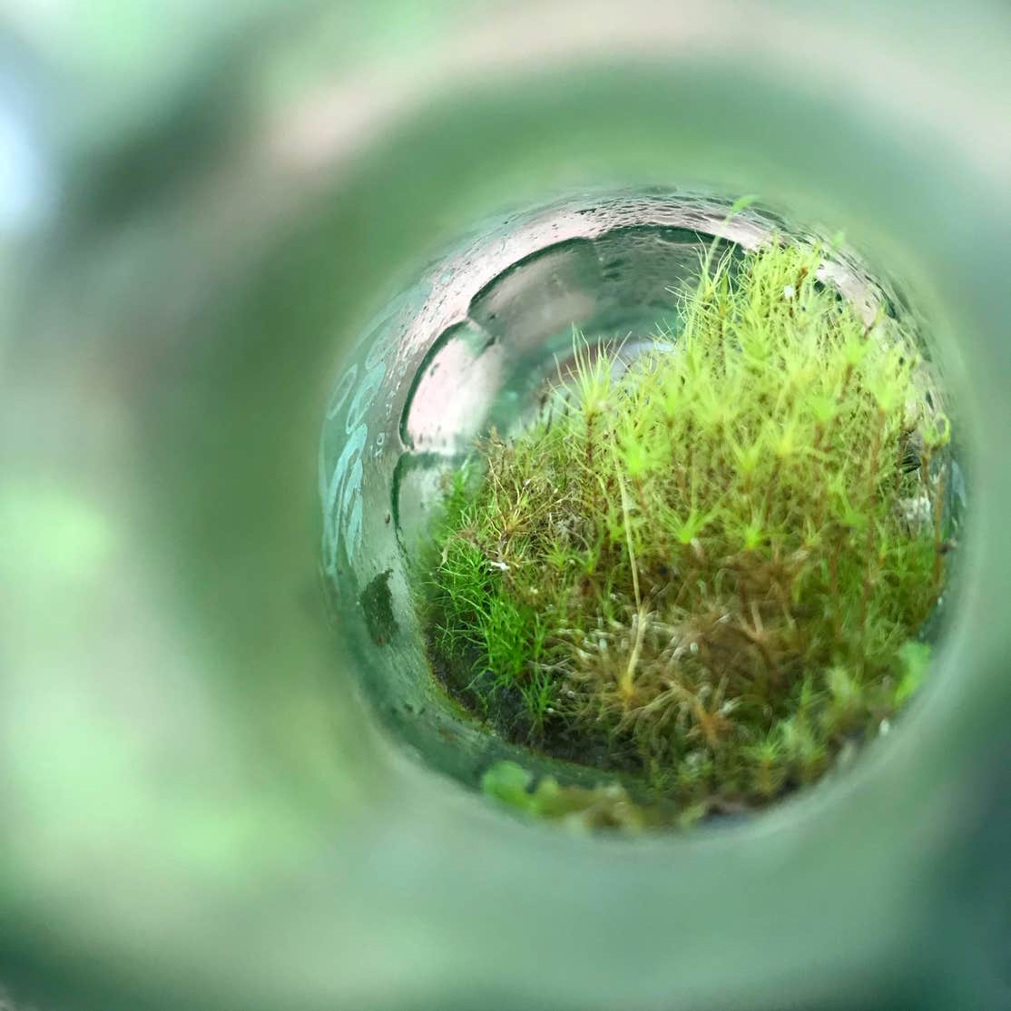 South Harrison Co Park Camping | Laconia, Indiana