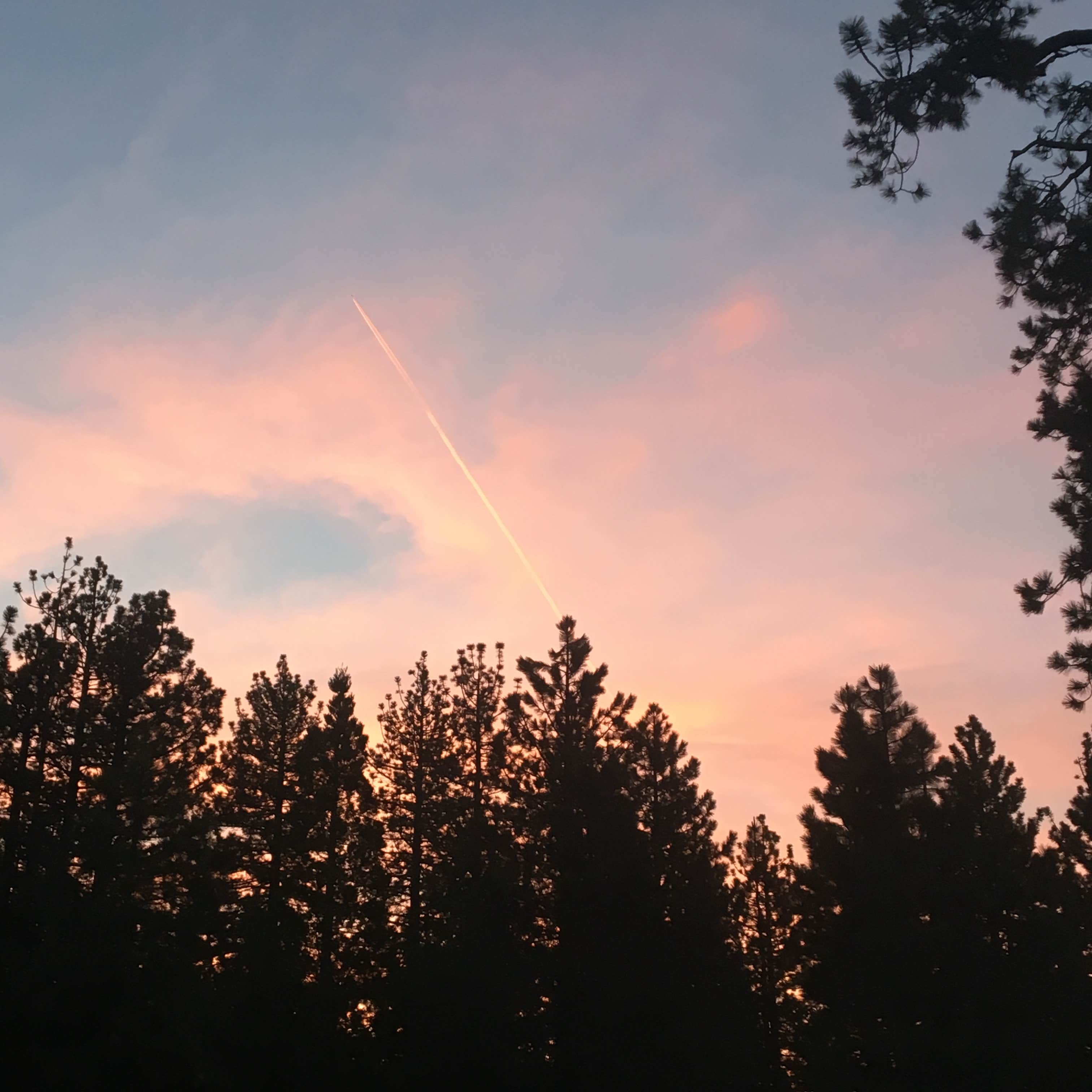 Mt. Pinos Campground Camping | Frazier Park, CA | The Dyrt