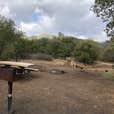Blue Jay Campground Camping | The Dyrt