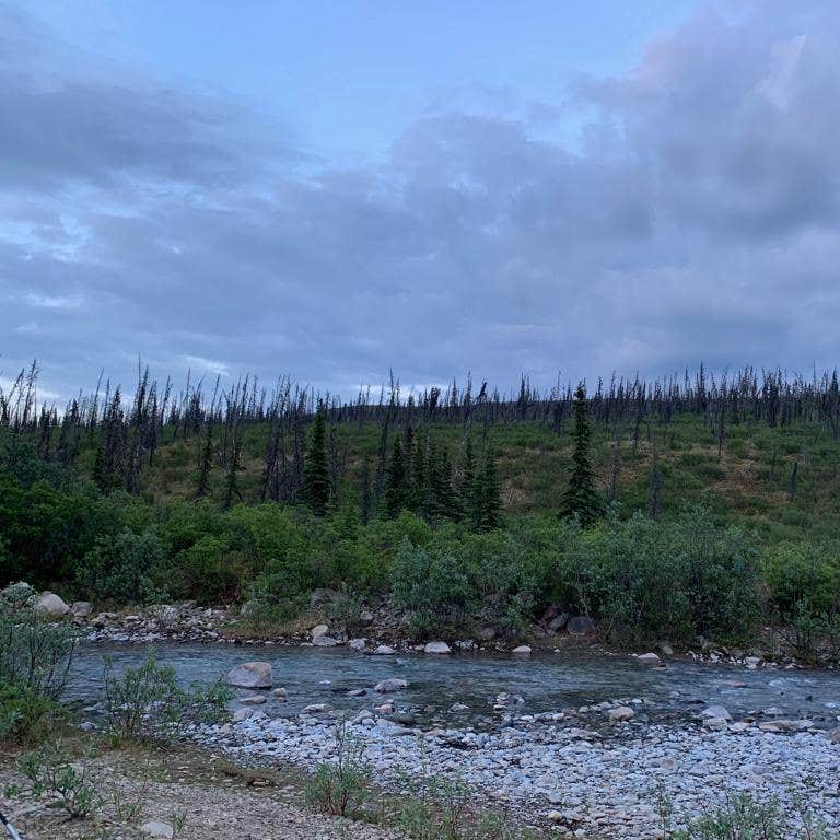 Mount Prindle Campground | Badger, Alaska