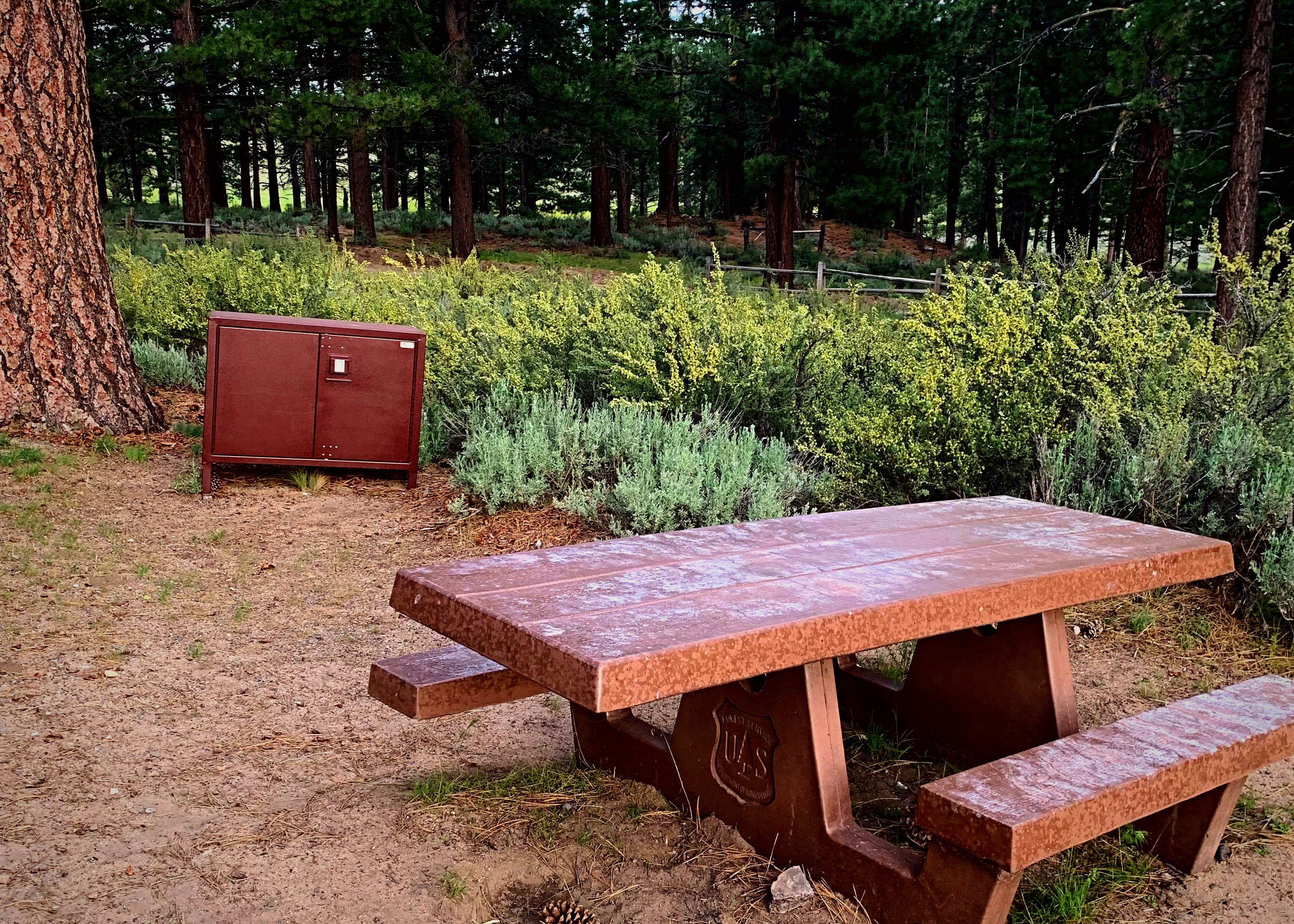 Meadow View Equestrian Campground Camping | The Dyrt