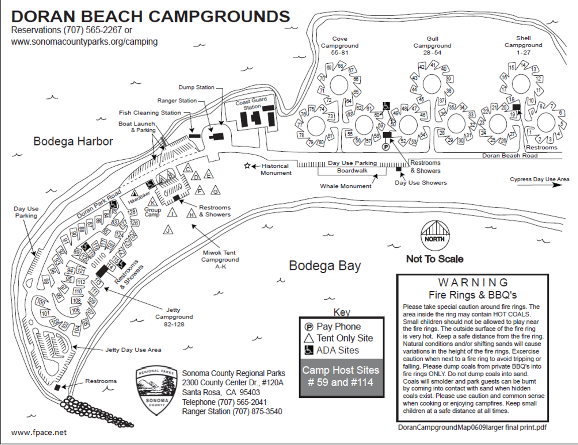 Doran Regional Park Camping | Bodega Bay, California
