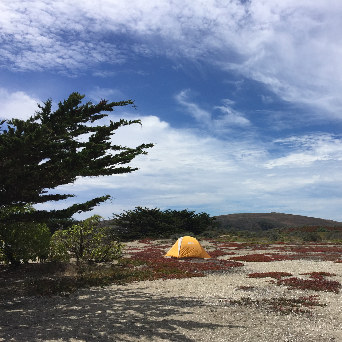 Doran Regional Park Camping | The Dyrt
