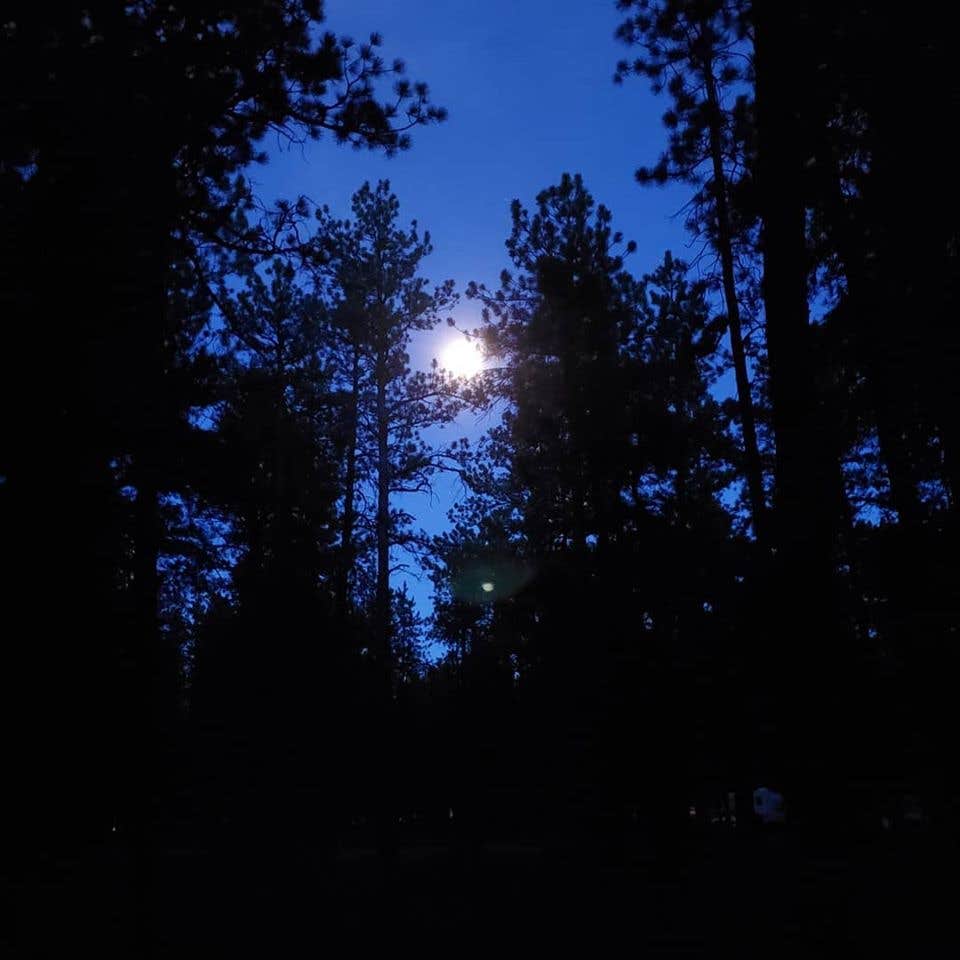 South Meadows Campground | Woodland Park, Colorado