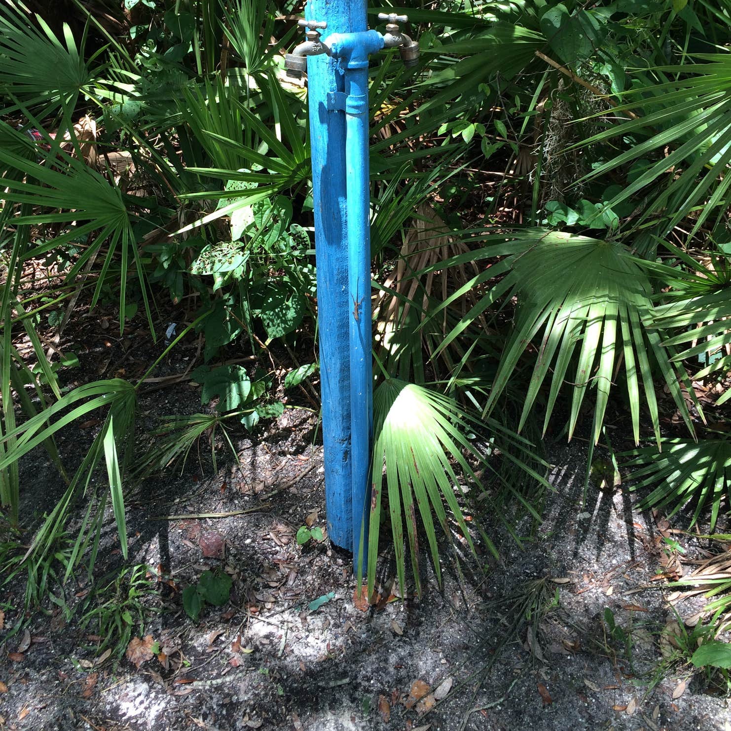 Lake Monroe Park Camping | The Dyrt