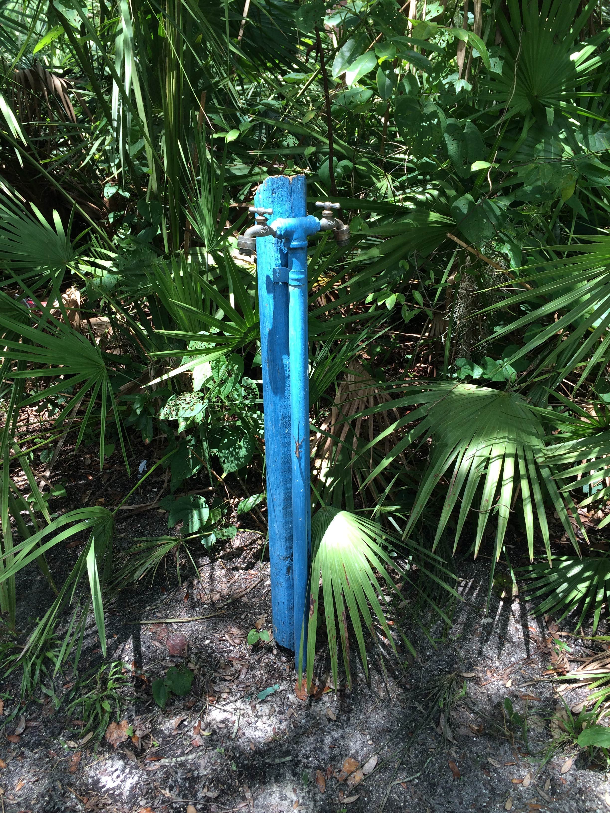 Lake Monroe Park Camping | DeBary, Florida