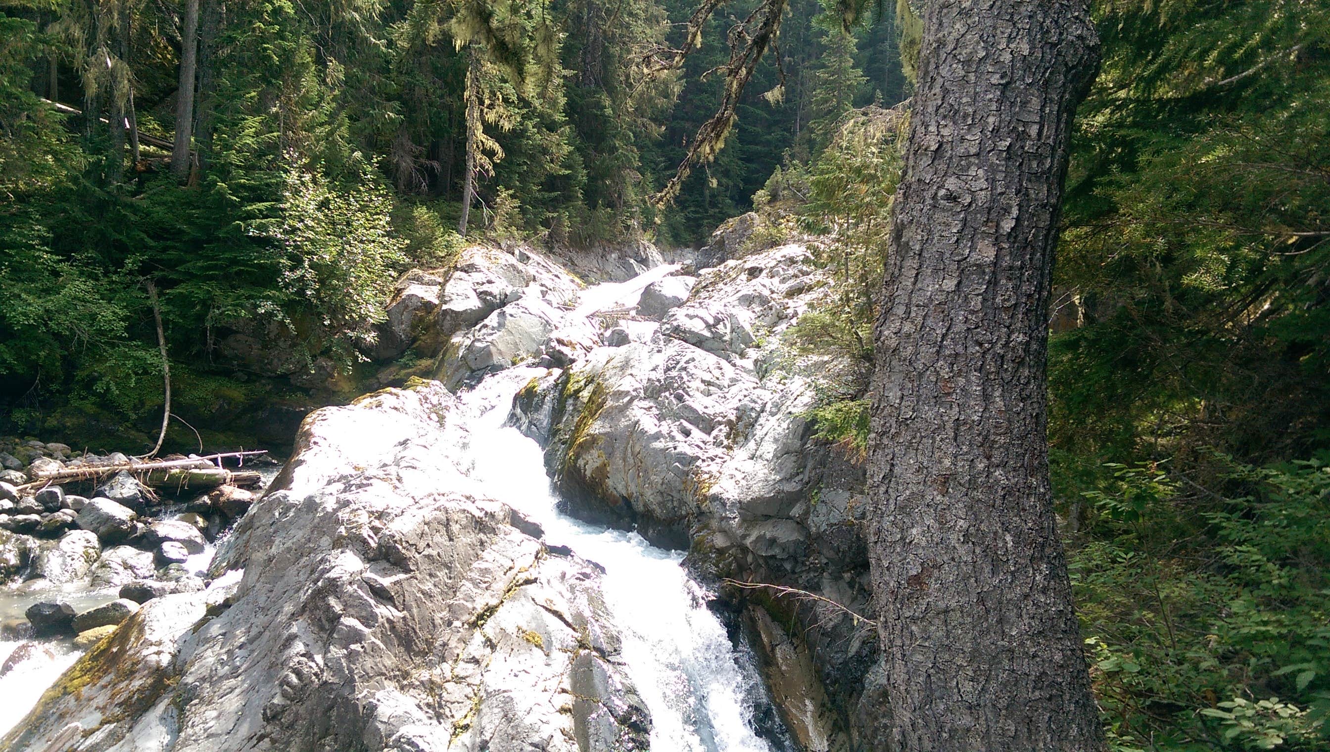 Summerland Backcountry Campsites — Mount Rainier National Park ...
