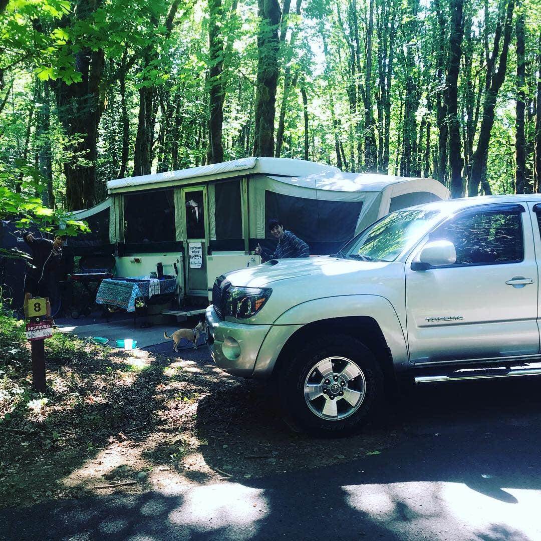 Beaver Campground Camping | The Dyrt