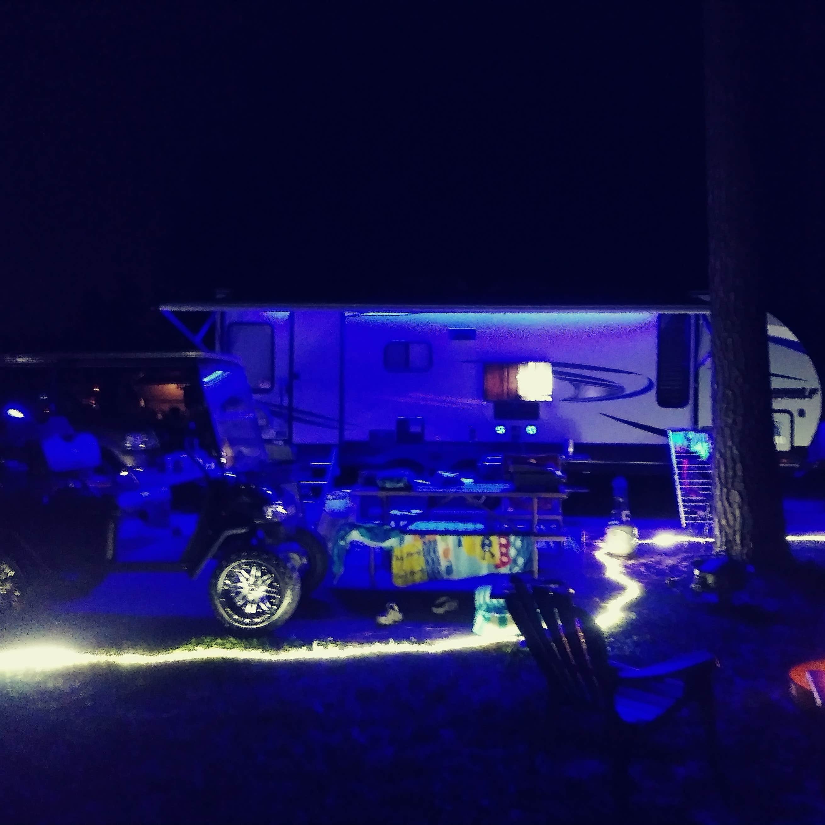 Willow Tree RV Resort Camping | The Dyrt