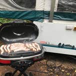 Trask River County Park Camping | The Dyrt