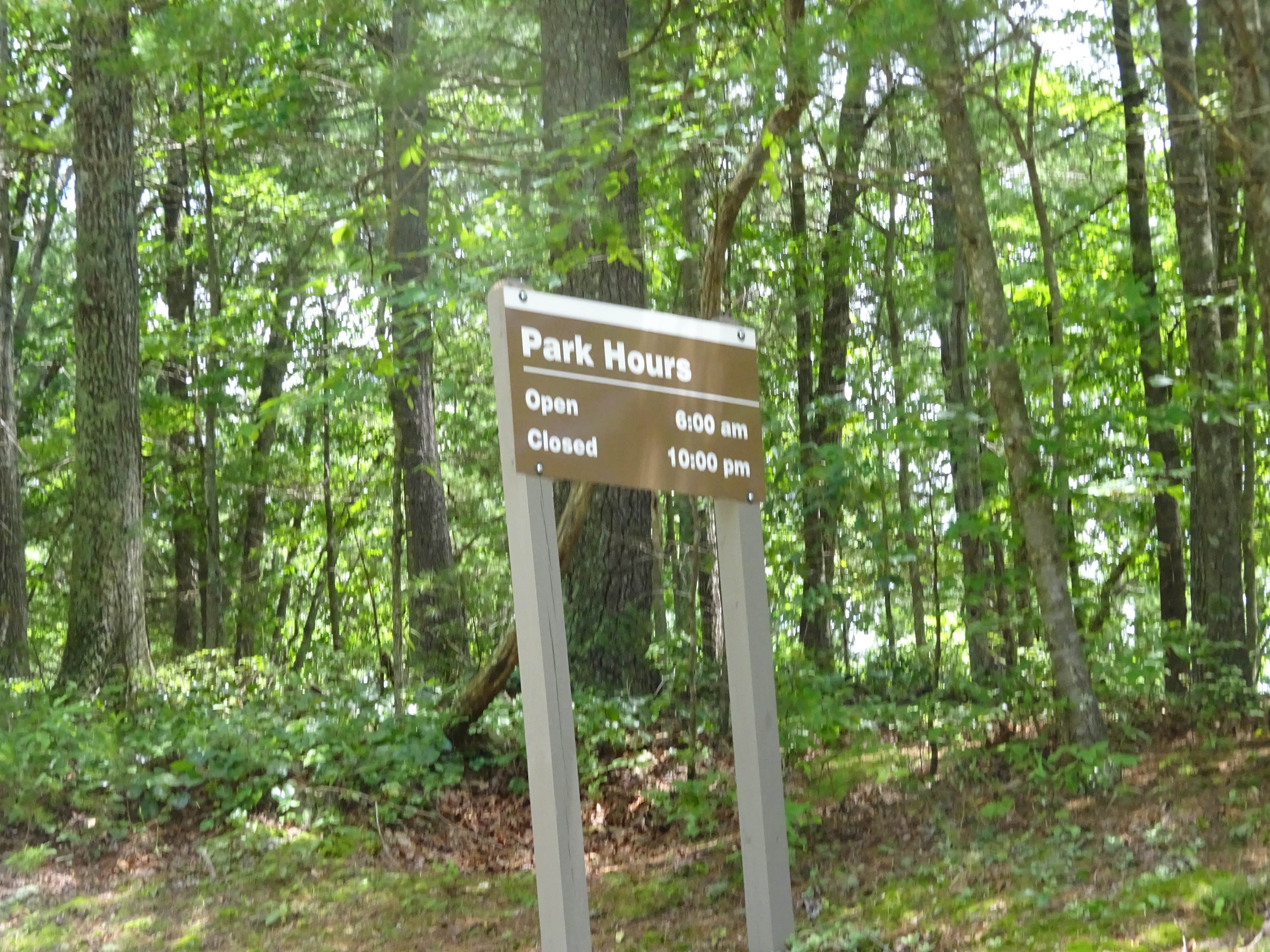 COE Philpott Lake Goose Point Park Camping | Henry, Virginia