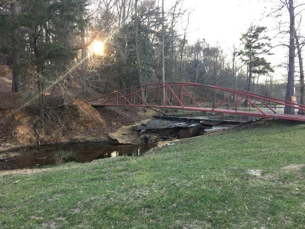 Paradise Ranch RV Resort Camping | The Dyrt