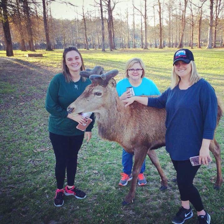 Paradise Ranch RV Resort Camping | The Dyrt