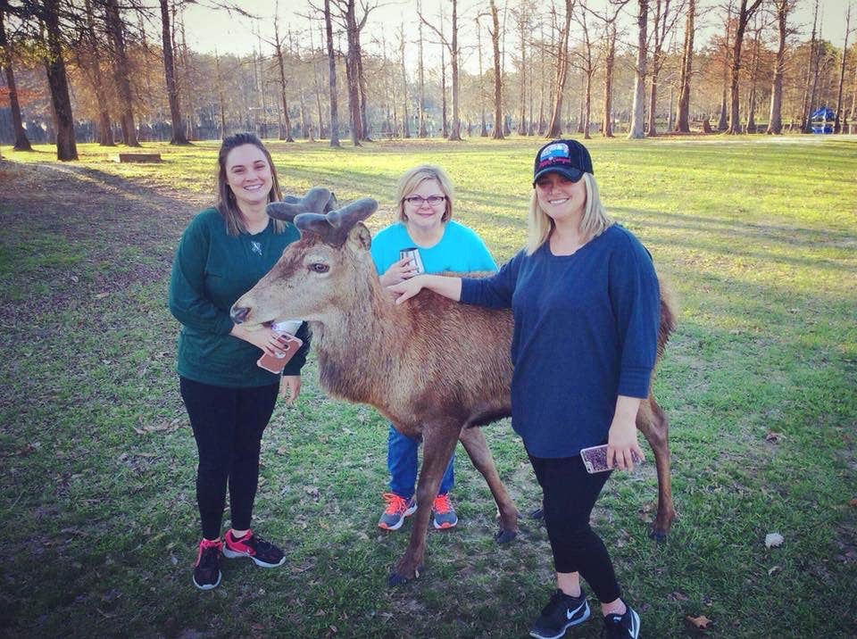 Paradise Ranch RV Resort | Tylertown, MS