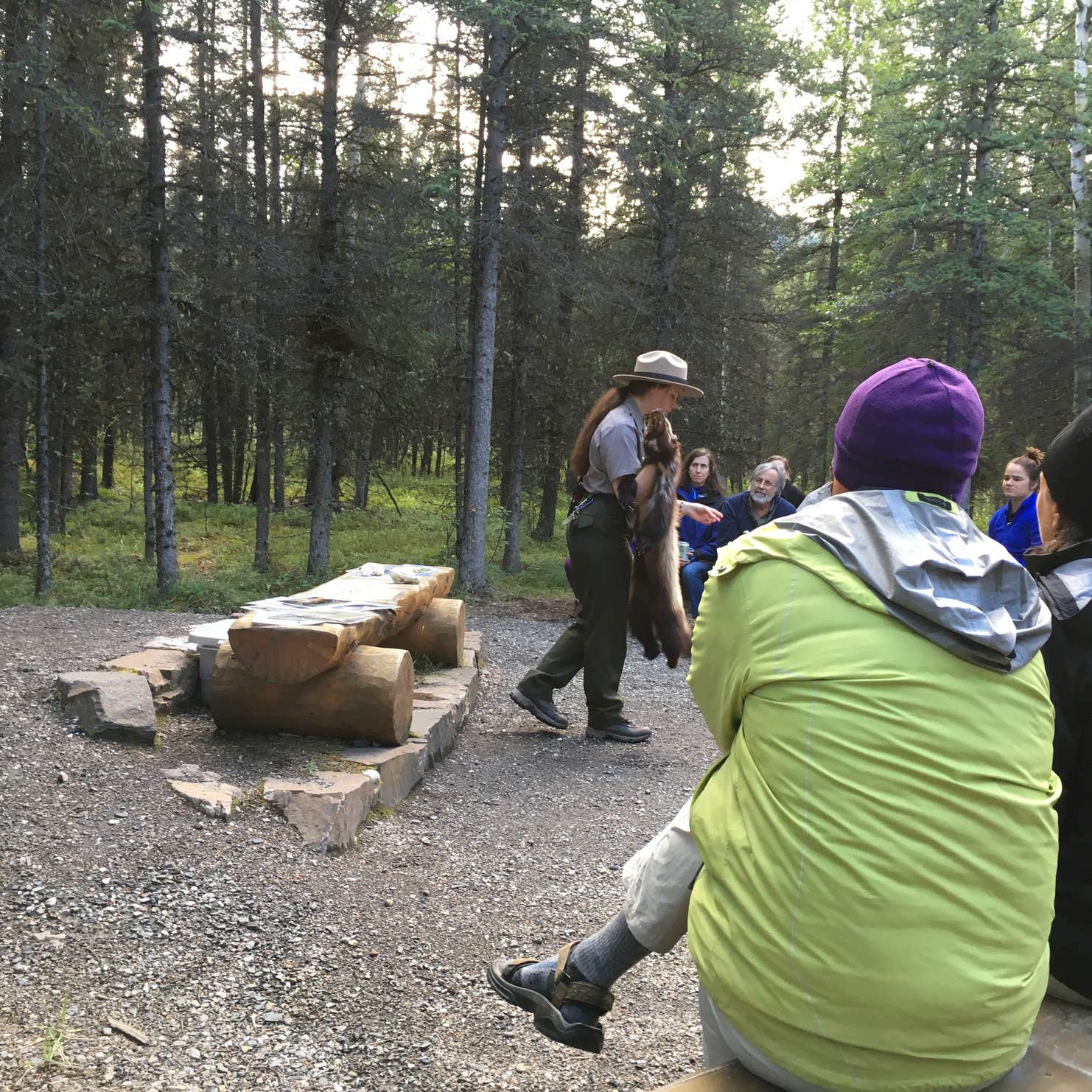 Riley Creek Campground Camping | The Dyrt