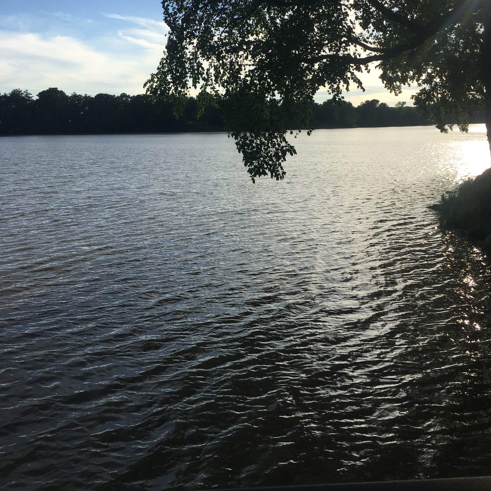 Harrison Lake State Park Camping | The Dyrt