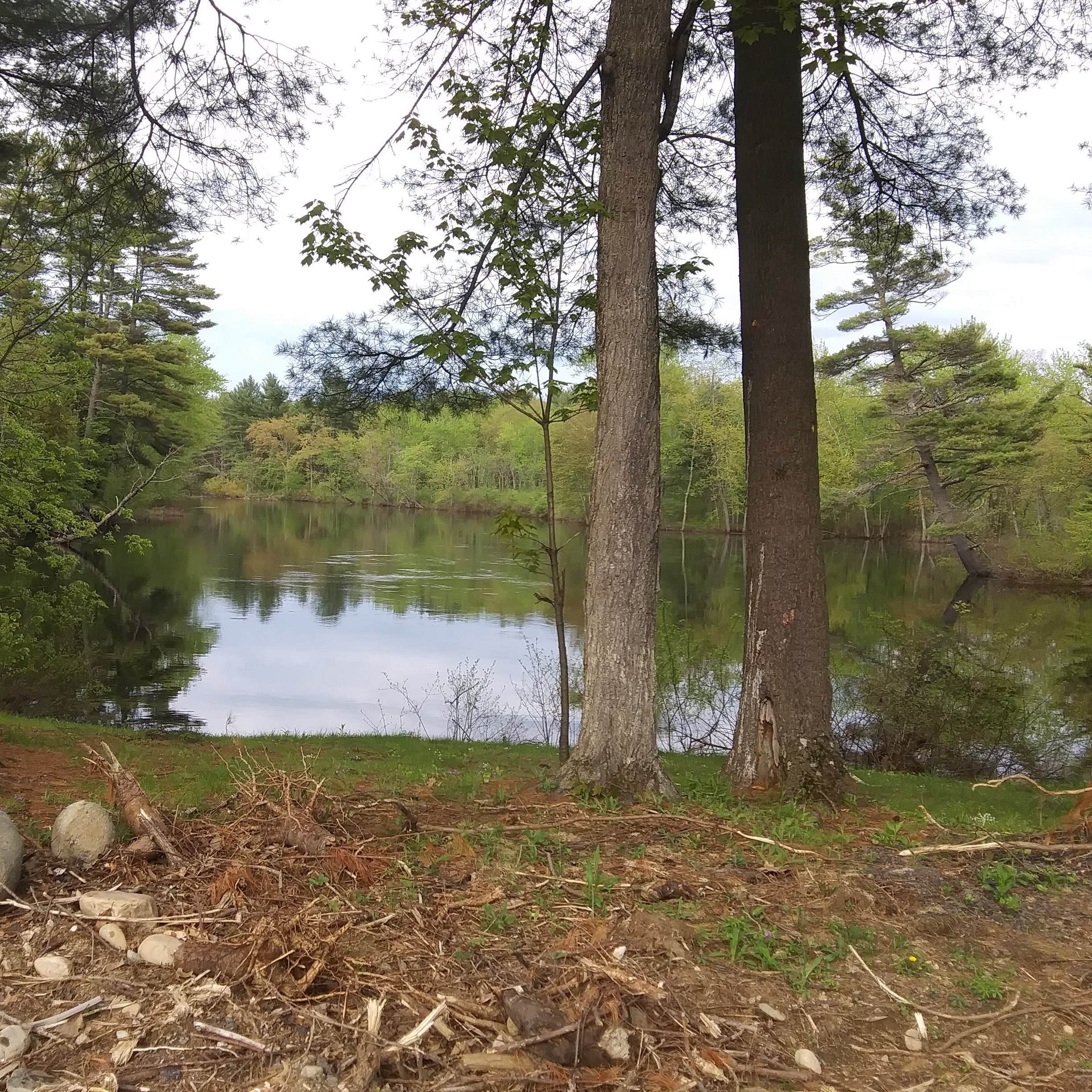 Lake George Riverview Campground Camping | The Dyrt