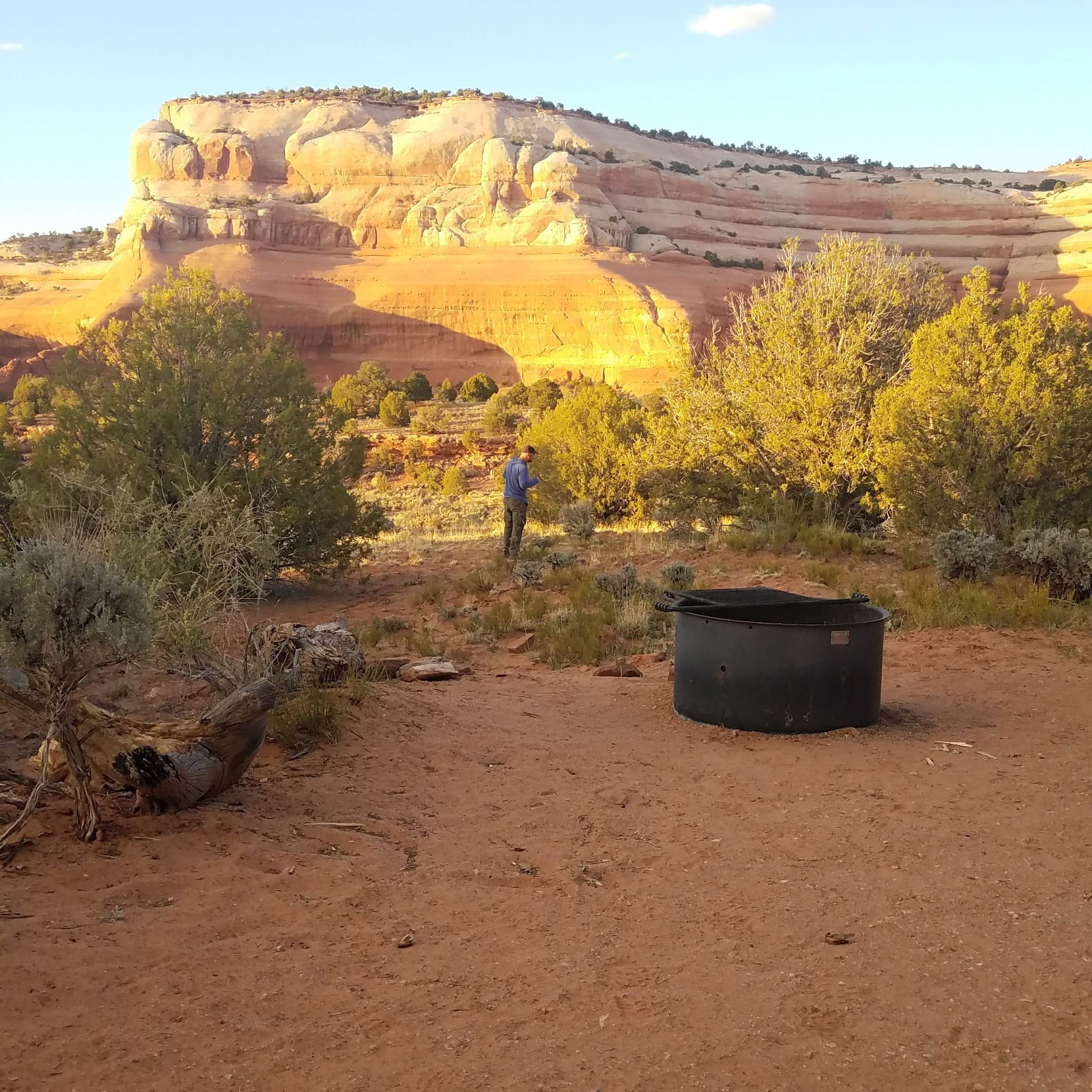 Windwhistle Campground Camping | The Dyrt