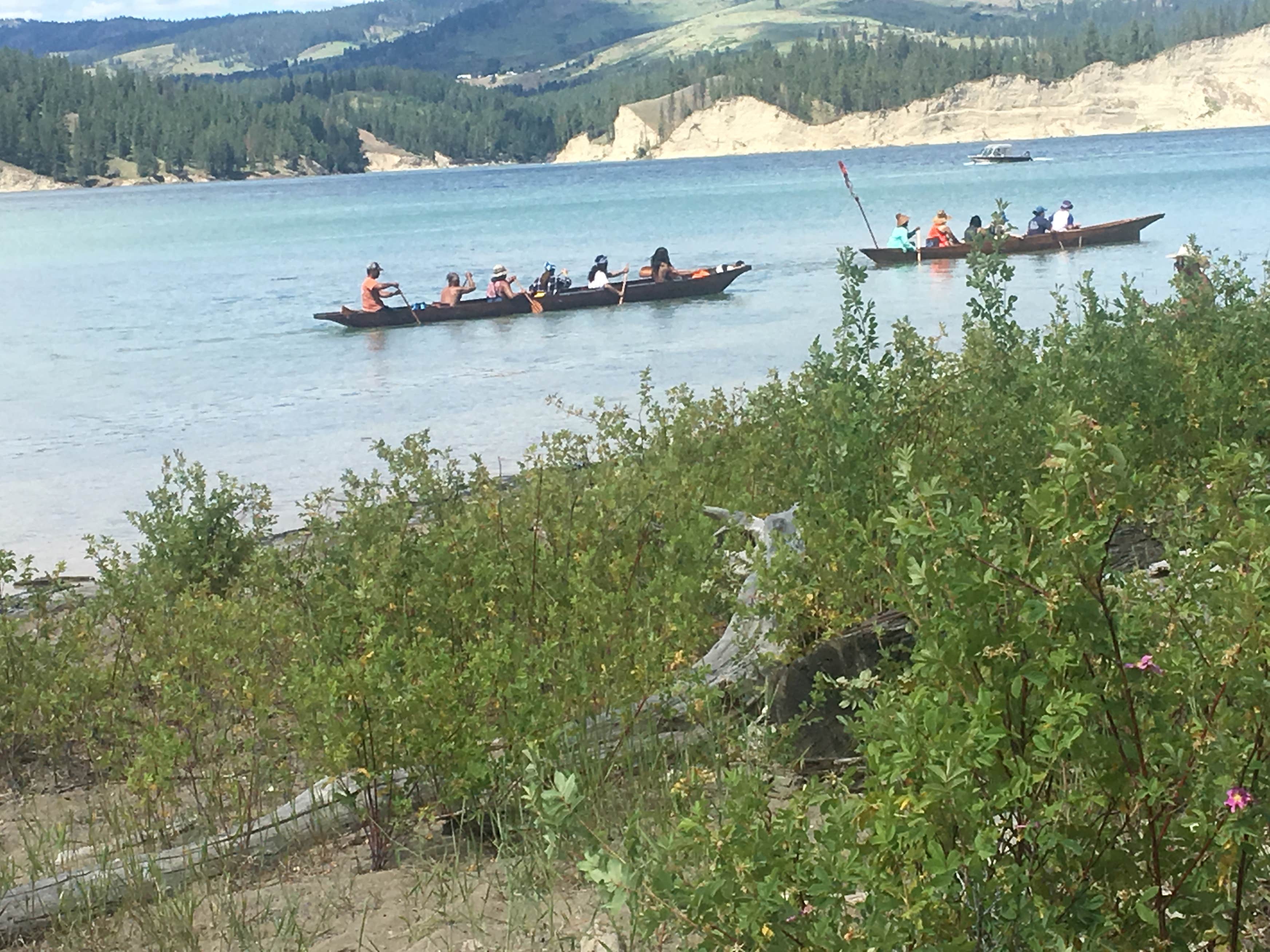 Hunters Campground Camping | The Dyrt