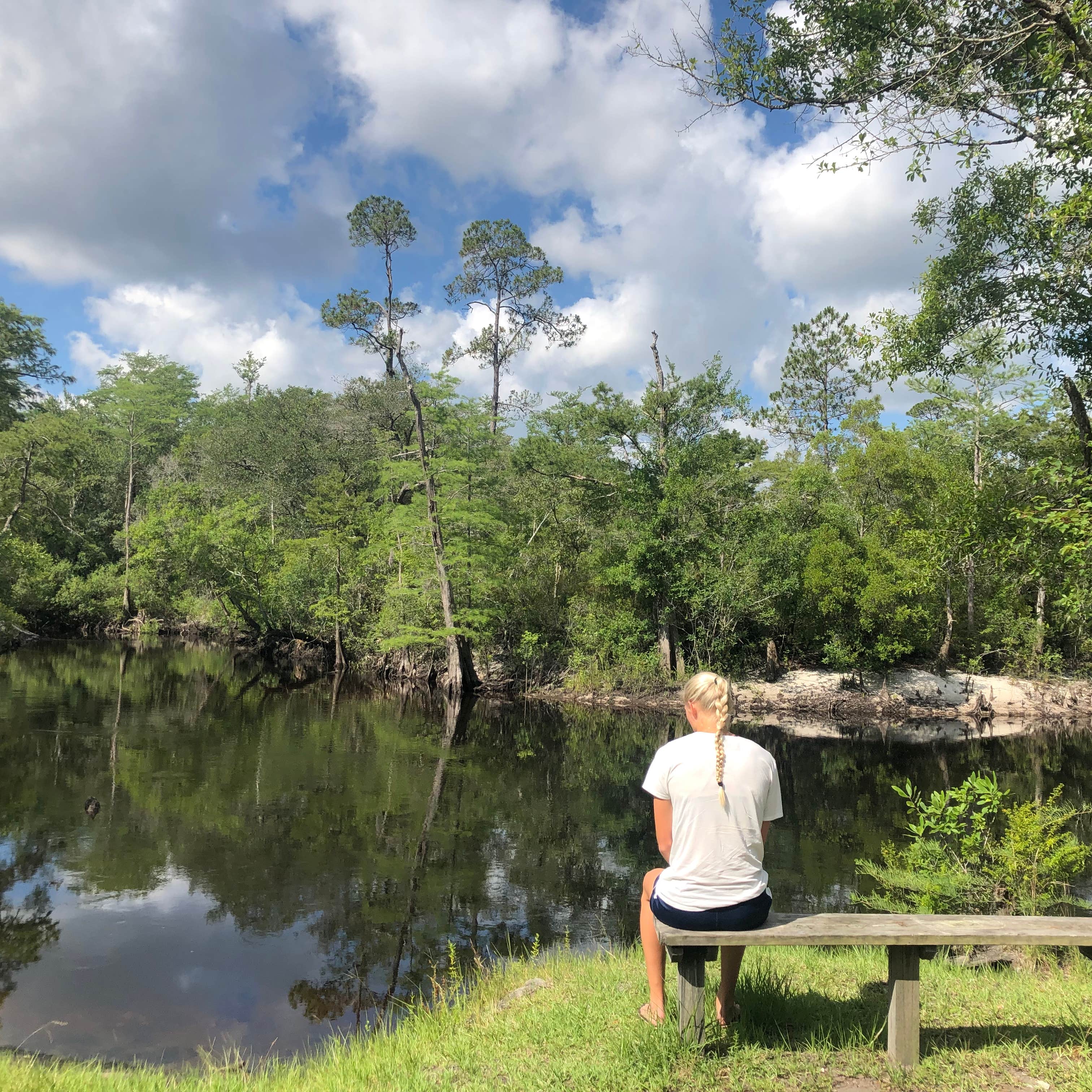 Sand Pond Campground - Pine Log State Forest Camping | The Dyrt