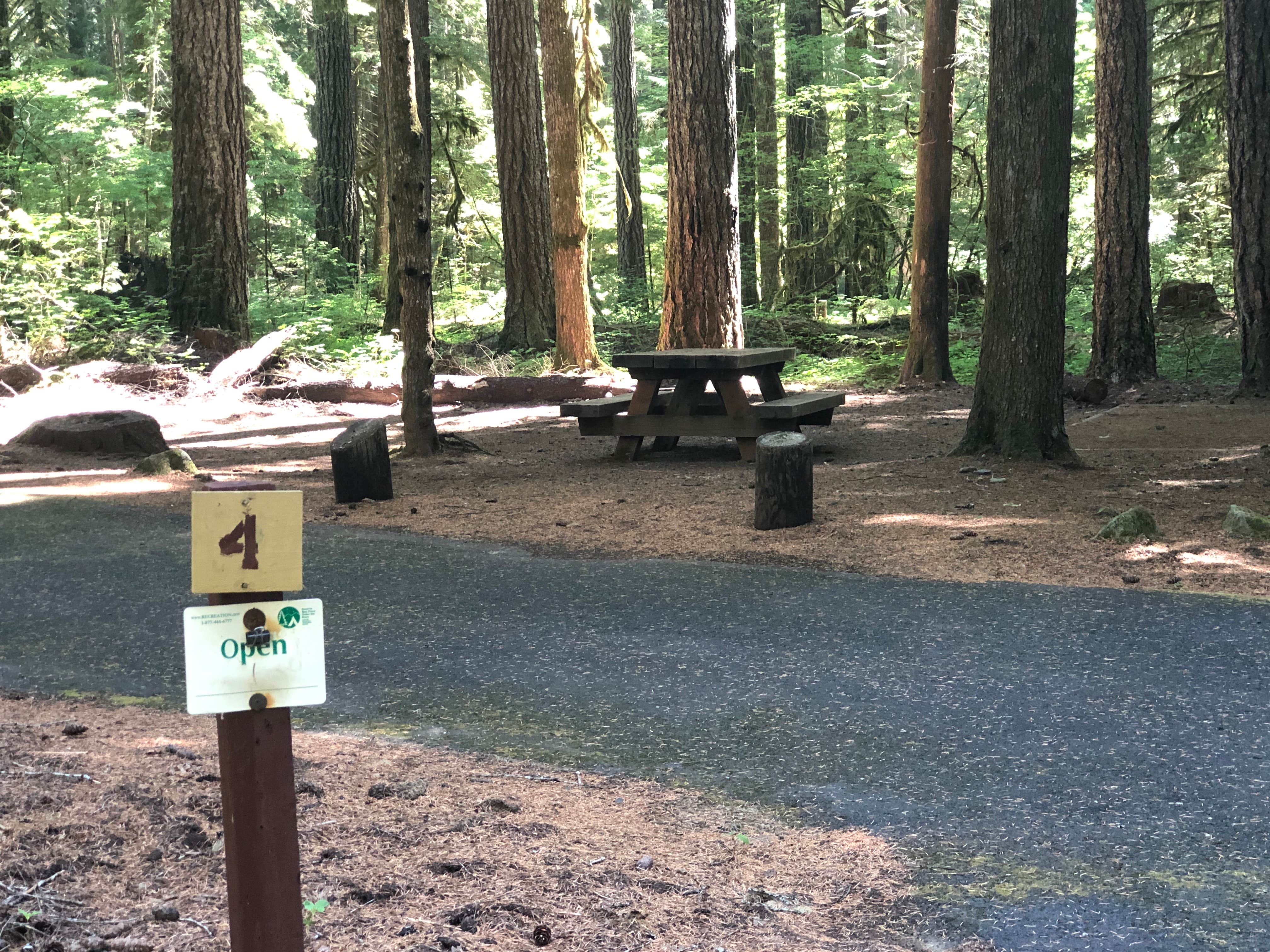 Paradise Creek campground | The Dyrt